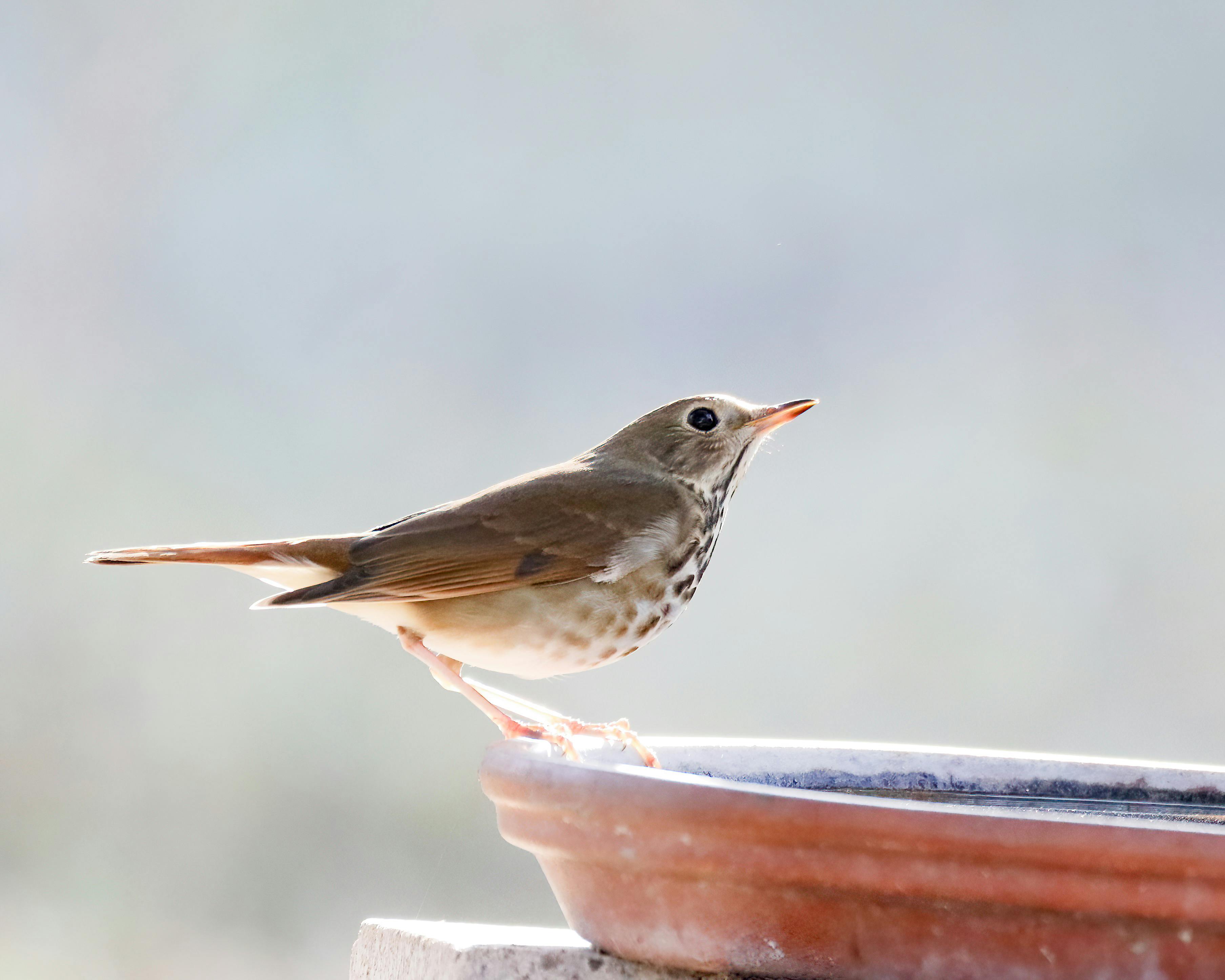 Background+22+Character Photos, Download The BEST Free Background+22 ...