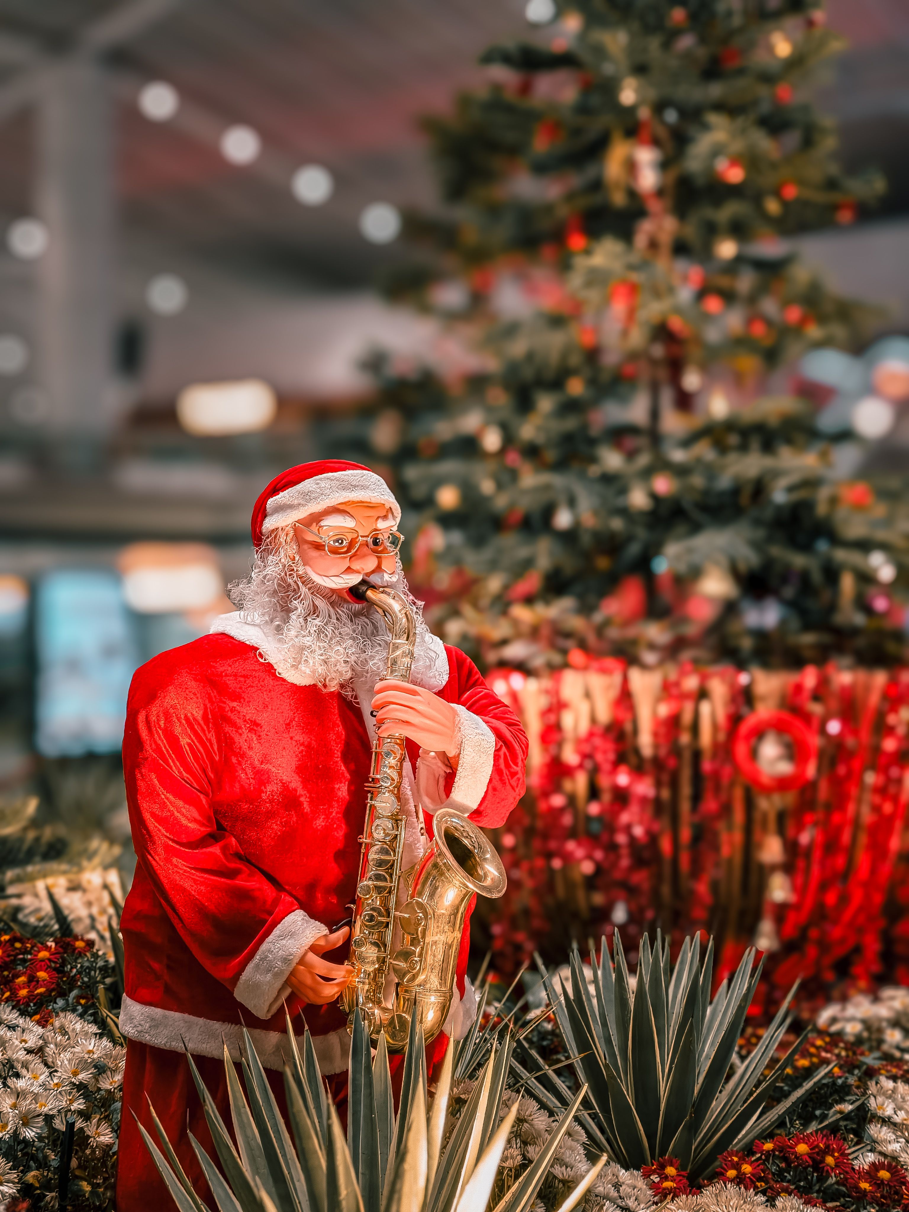 Christmas In India Photos, Download The BEST Free Christmas In India ...