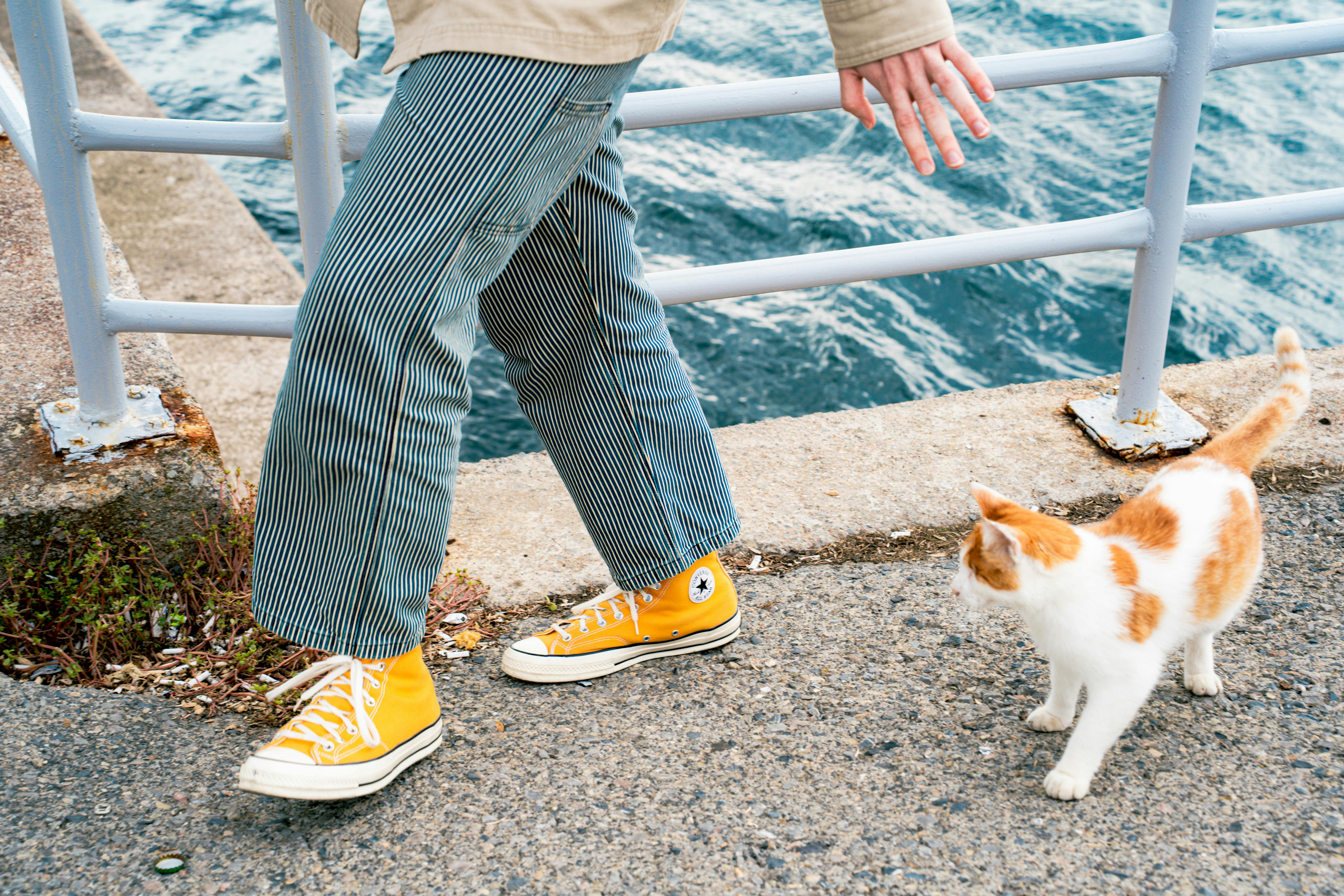 Human Feces Photos, Download The BEST Free Human Feces Stock Photos ...