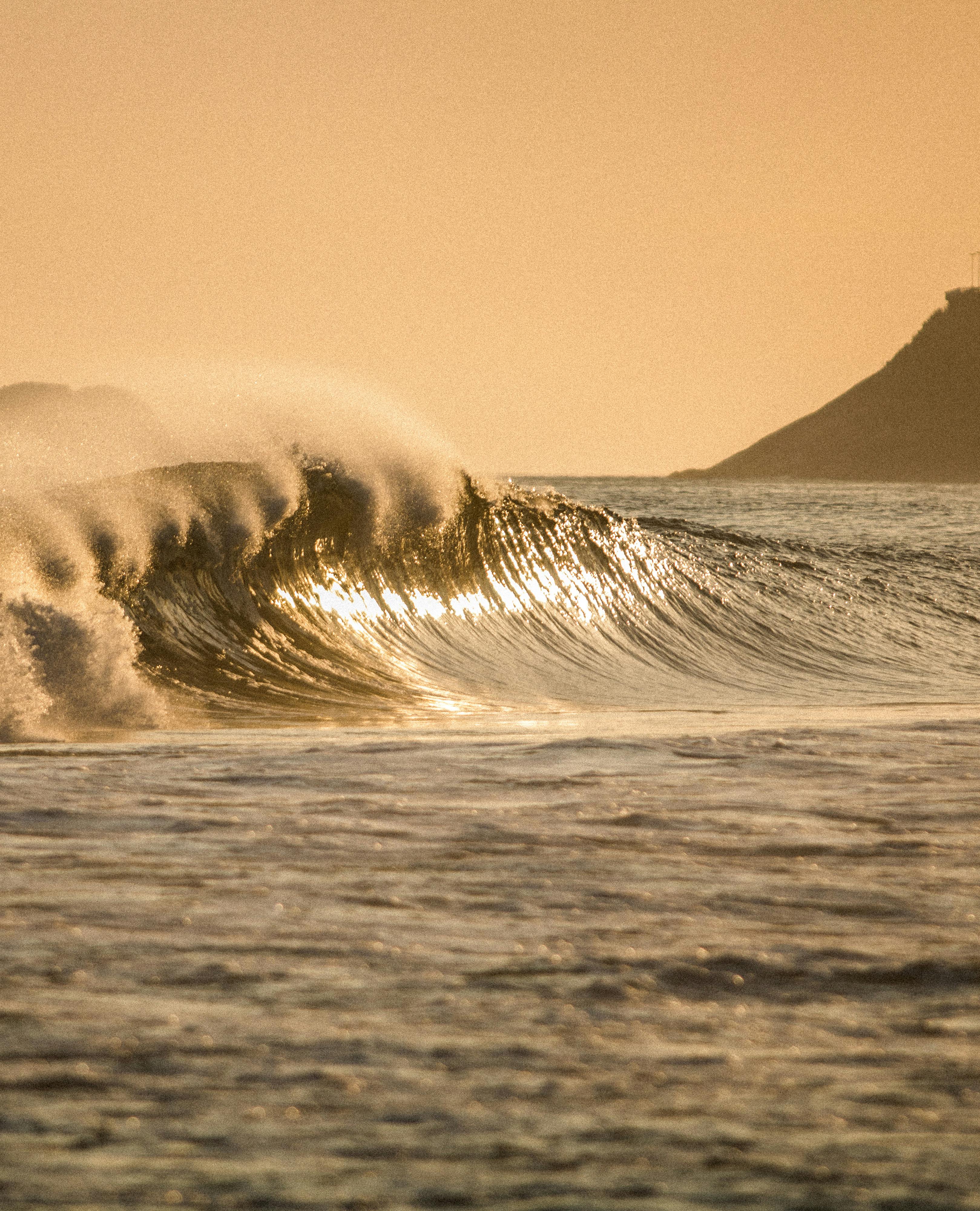 Picture+For+Verification Photos, Download The BEST Free Picture+For ...