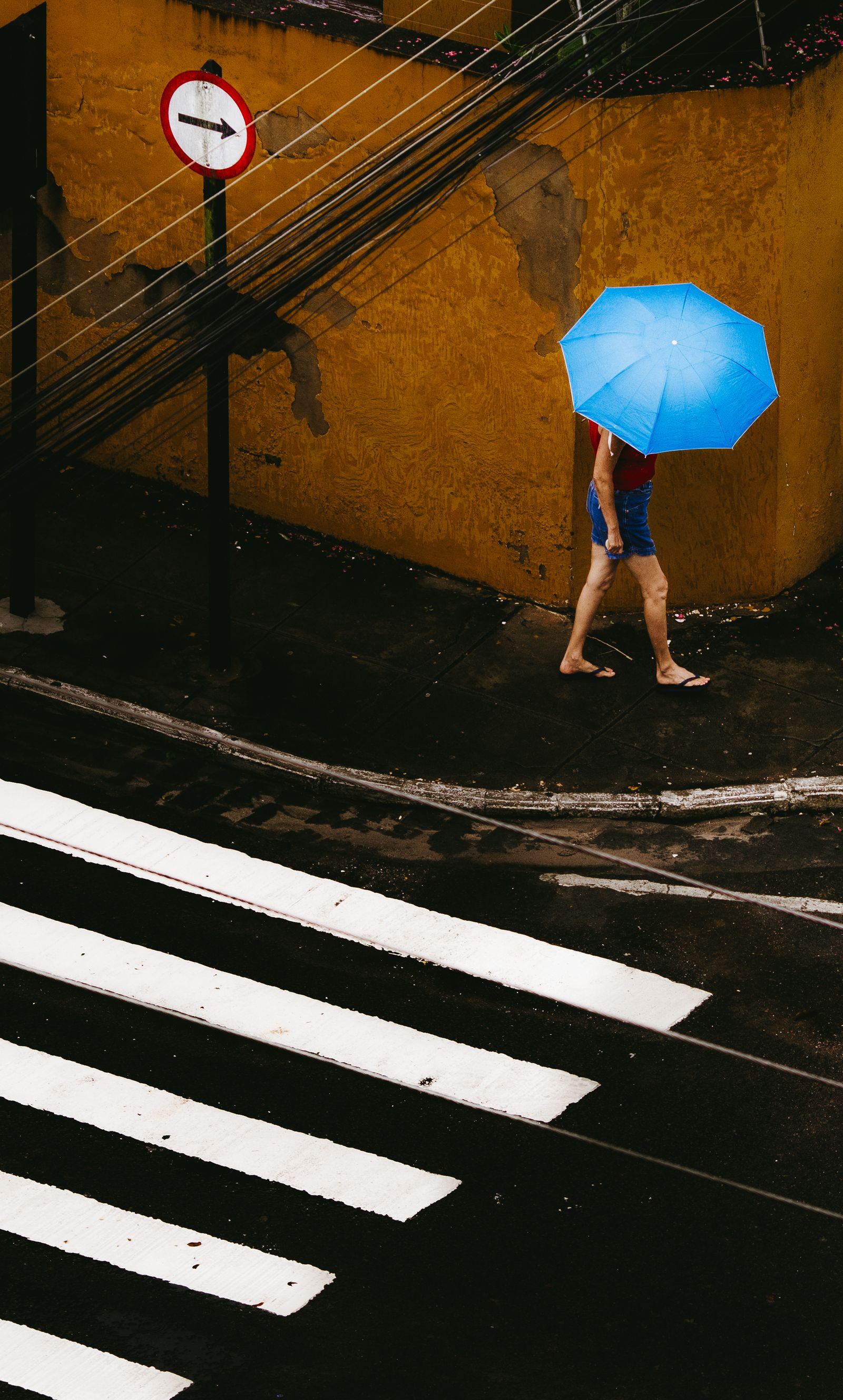 Rainy Day Photos, Download The BEST Free Rainy Day Stock Photos & HD Images