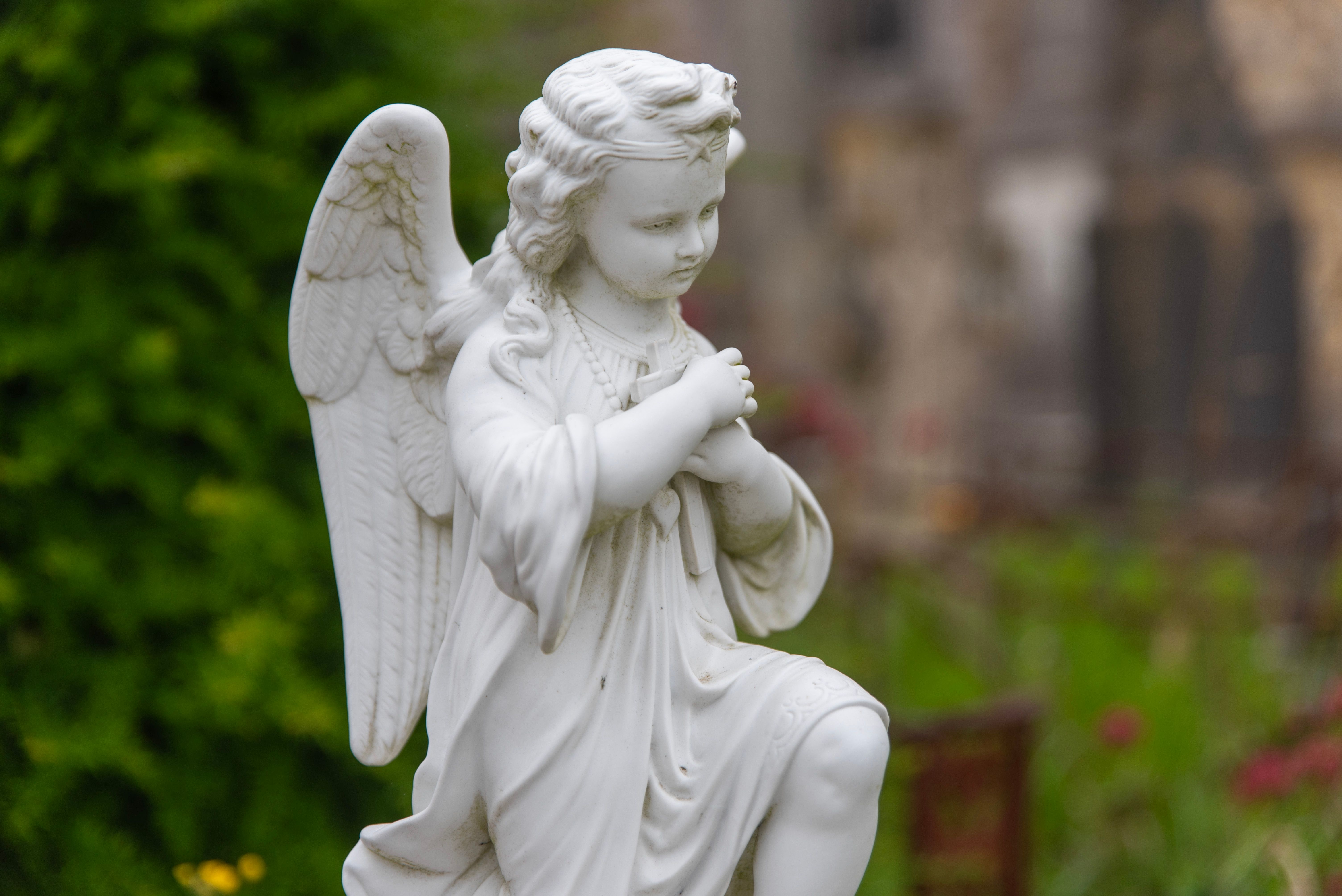 10,000+ Best Angel Photos · 100% Free Download · Pexels Stock Photos