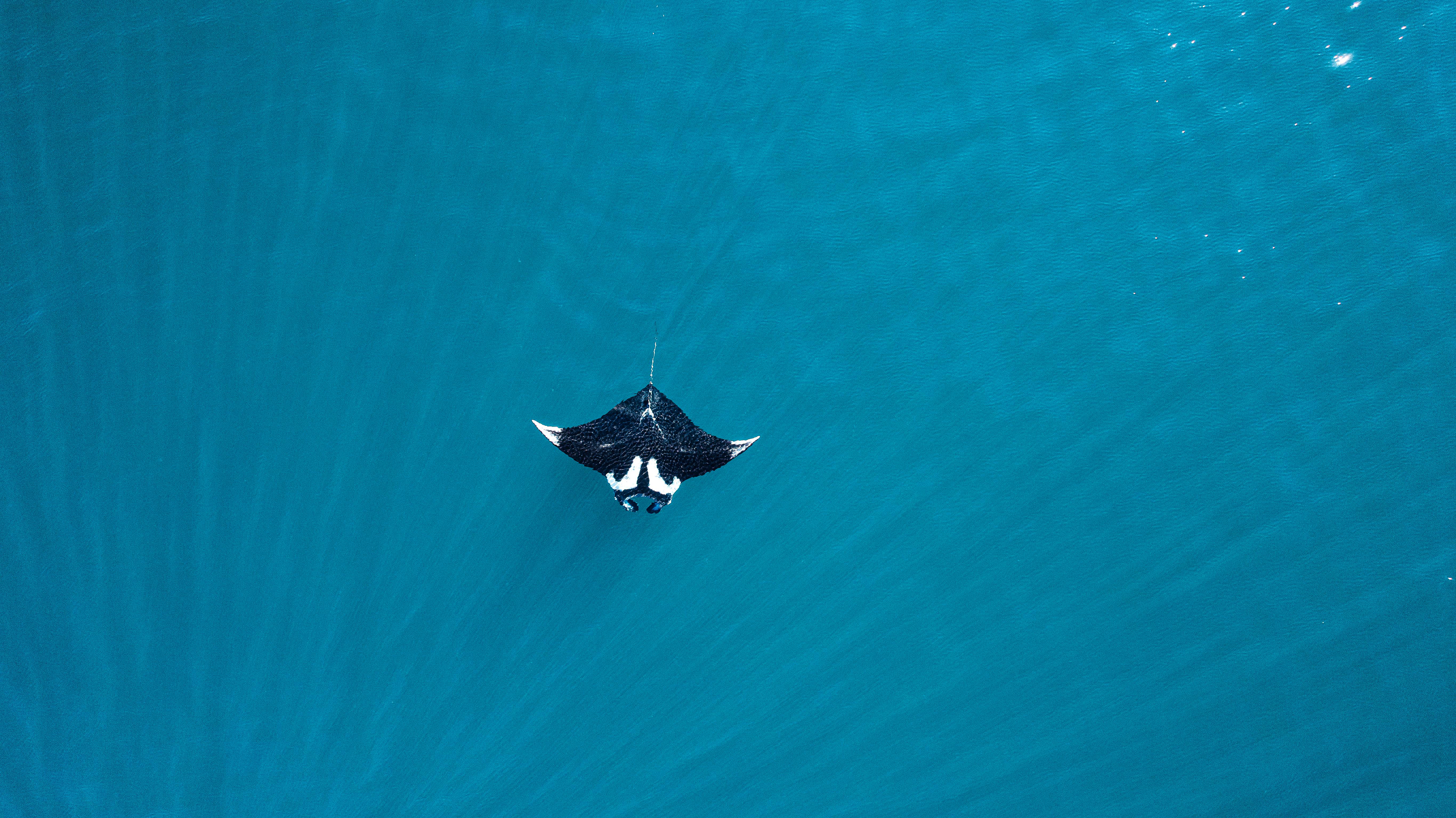 Dubai+Underwater+Villas Photos, Download The BEST Free Dubai+Underwater ...