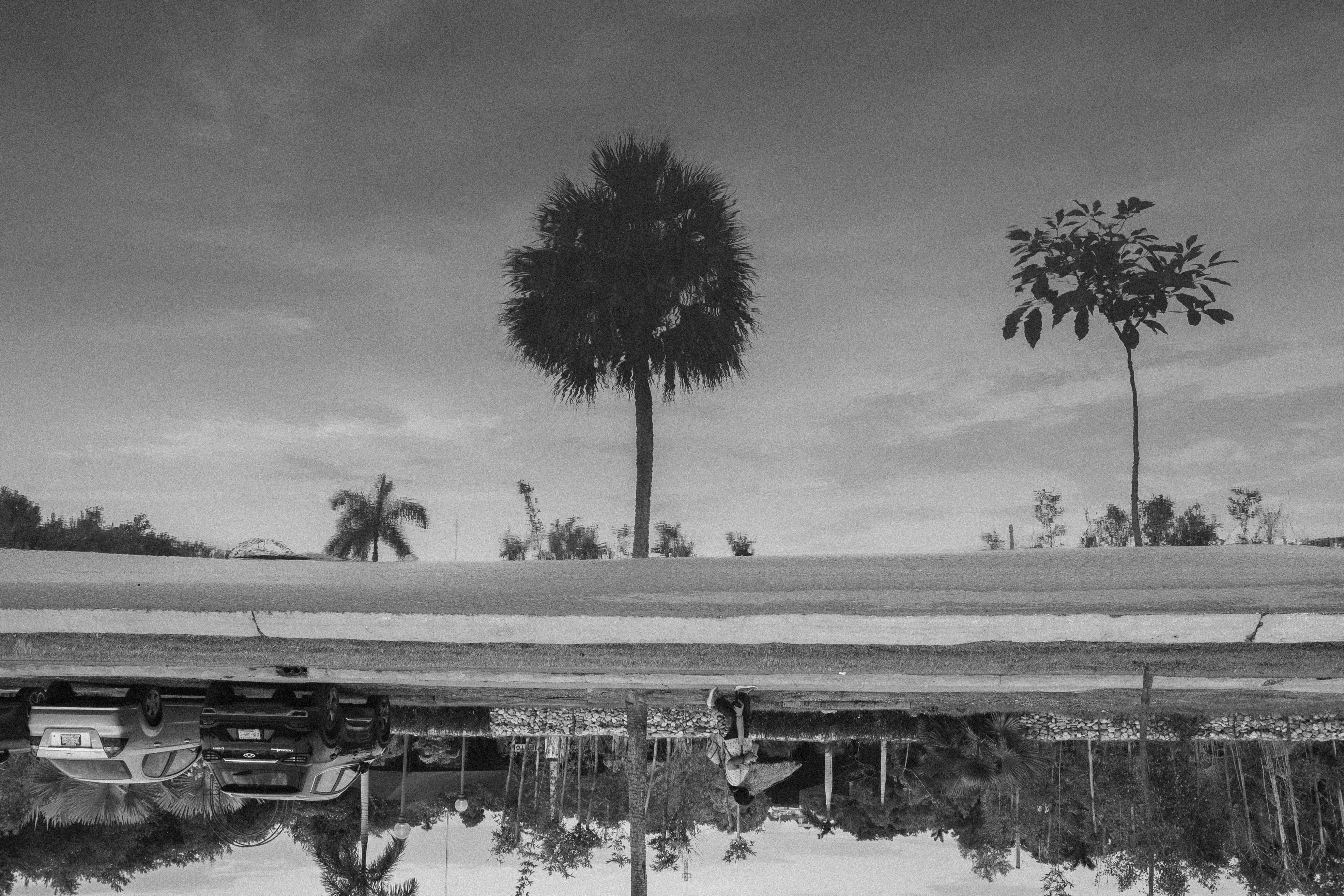 White+Paper+Only Photos, Download The BEST Free White+Paper+Only Stock ...