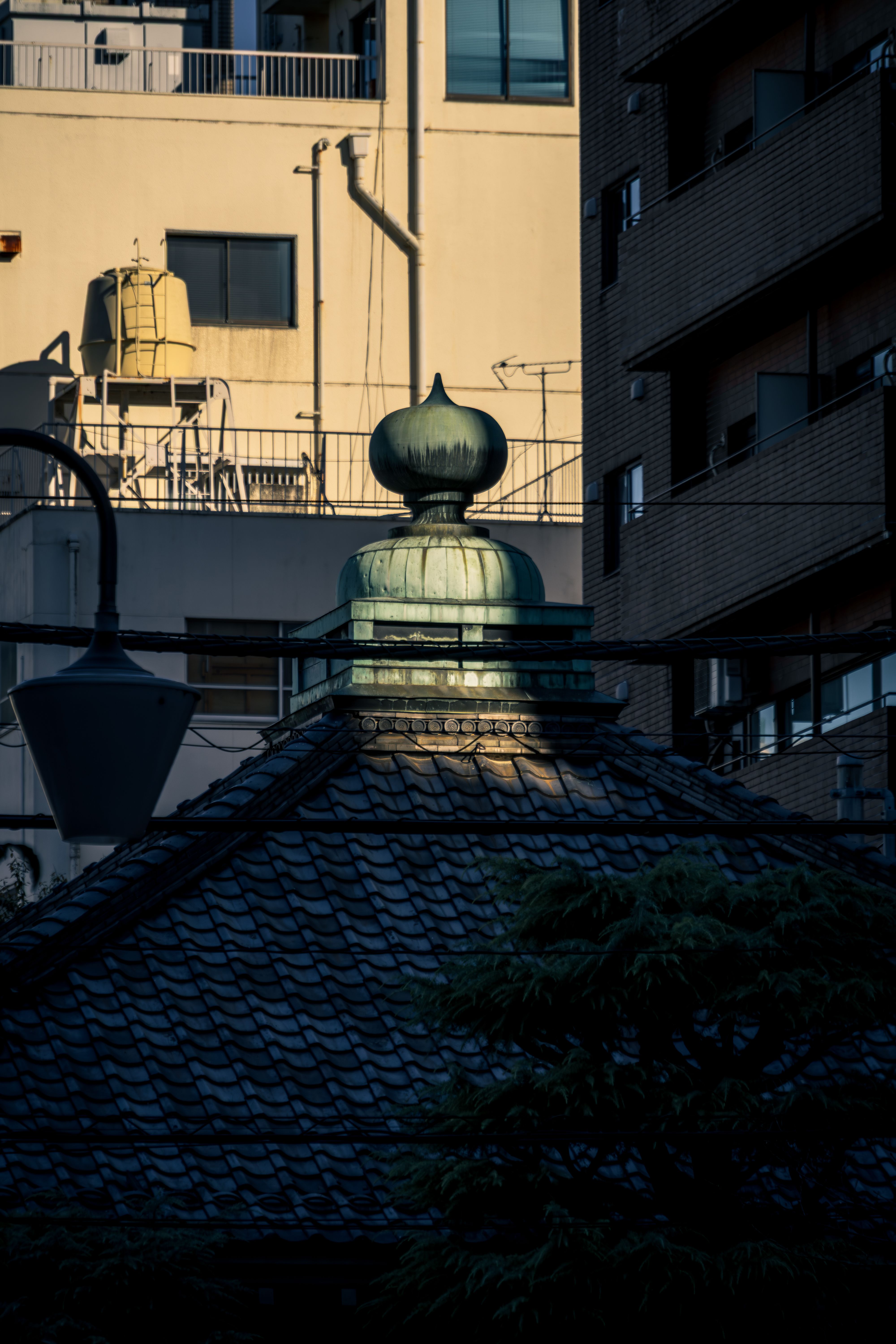 Traditional Rooftop in Shinjuku at Dusk · Free Stock Photo