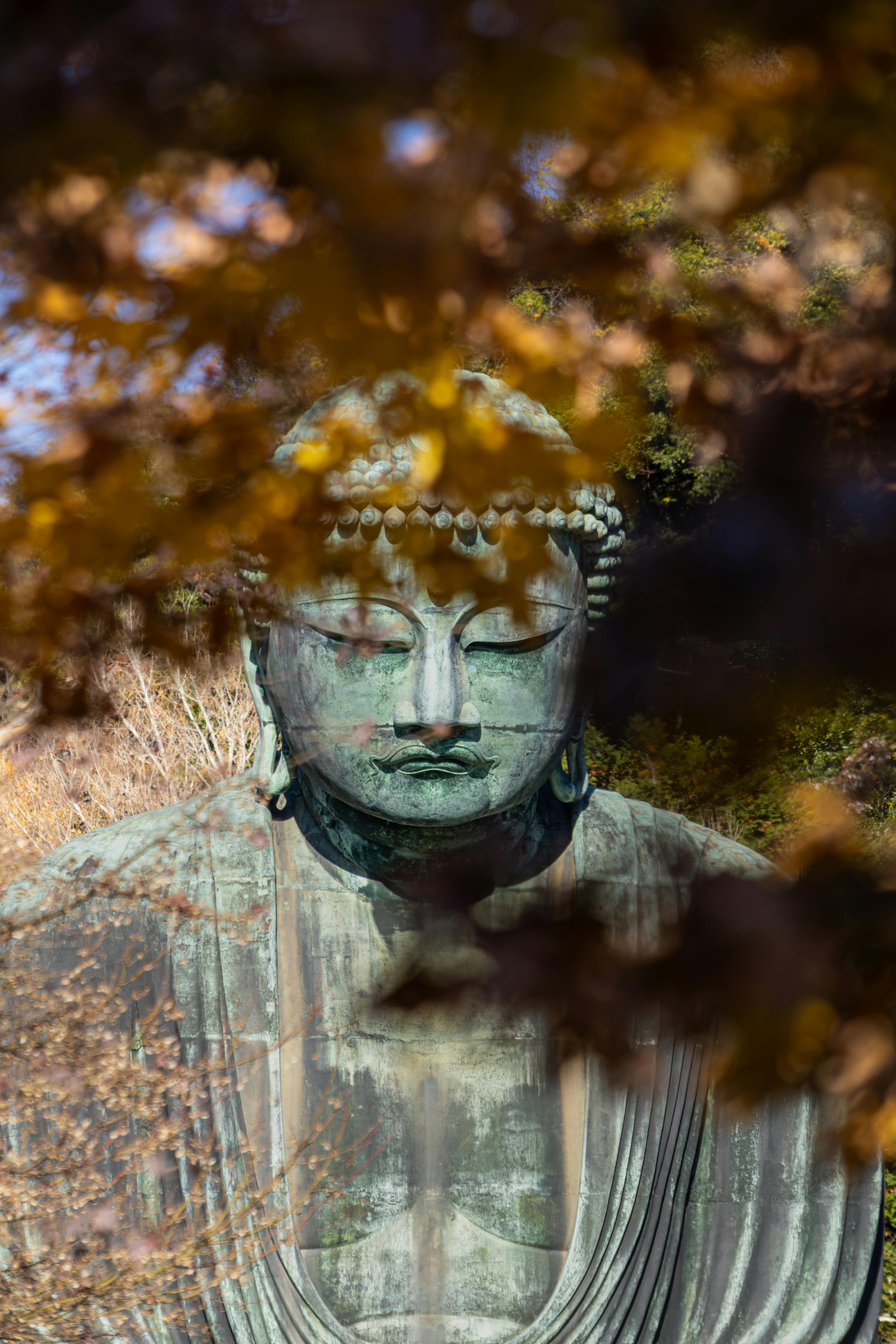 8,000+ Best Makingvout+in+swimsuits Photos · 100% Free Download ...