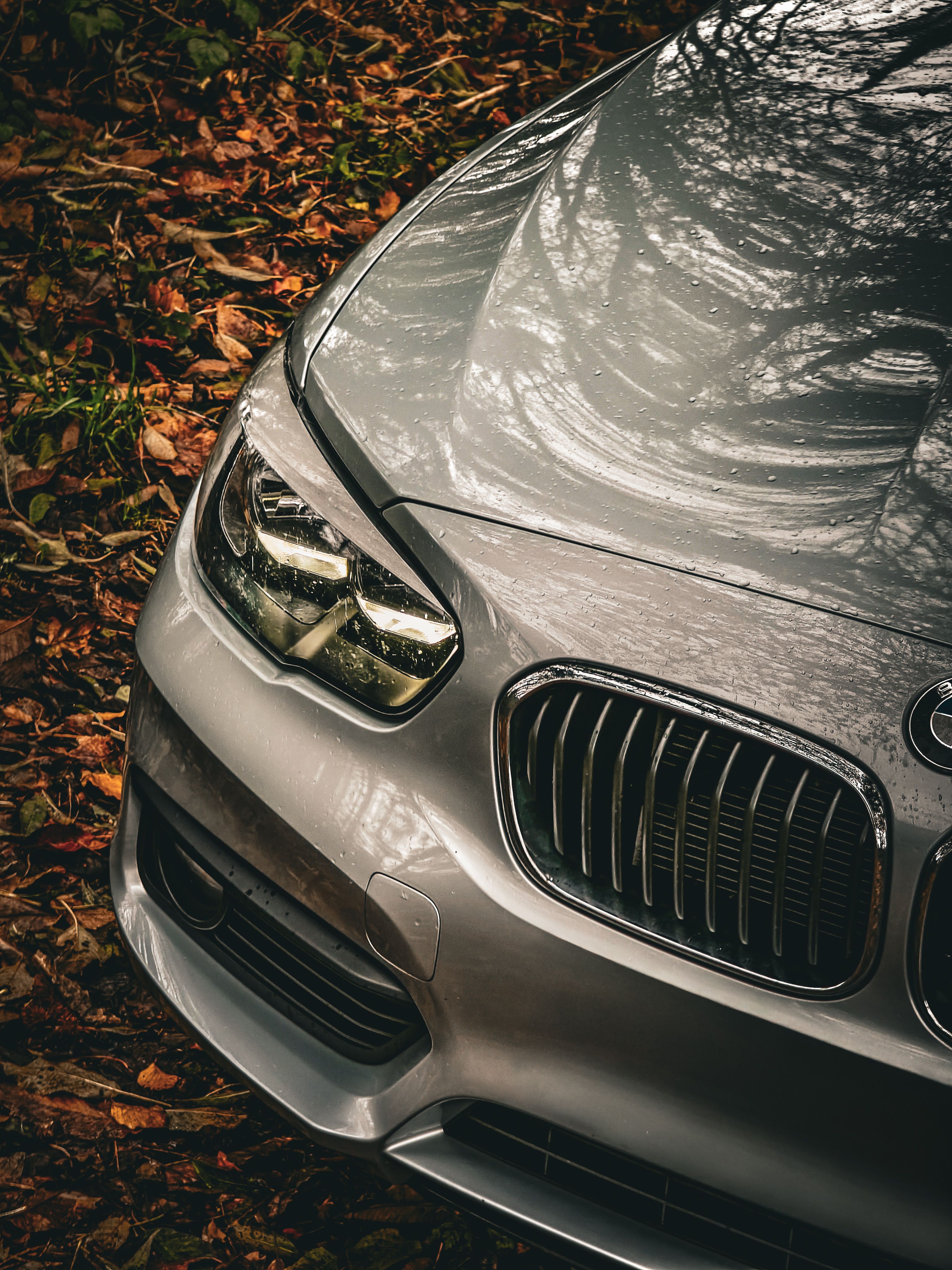 Candydoll Tv Alissap Candydoll Alissa P Silver Stars Models Home Foto ...