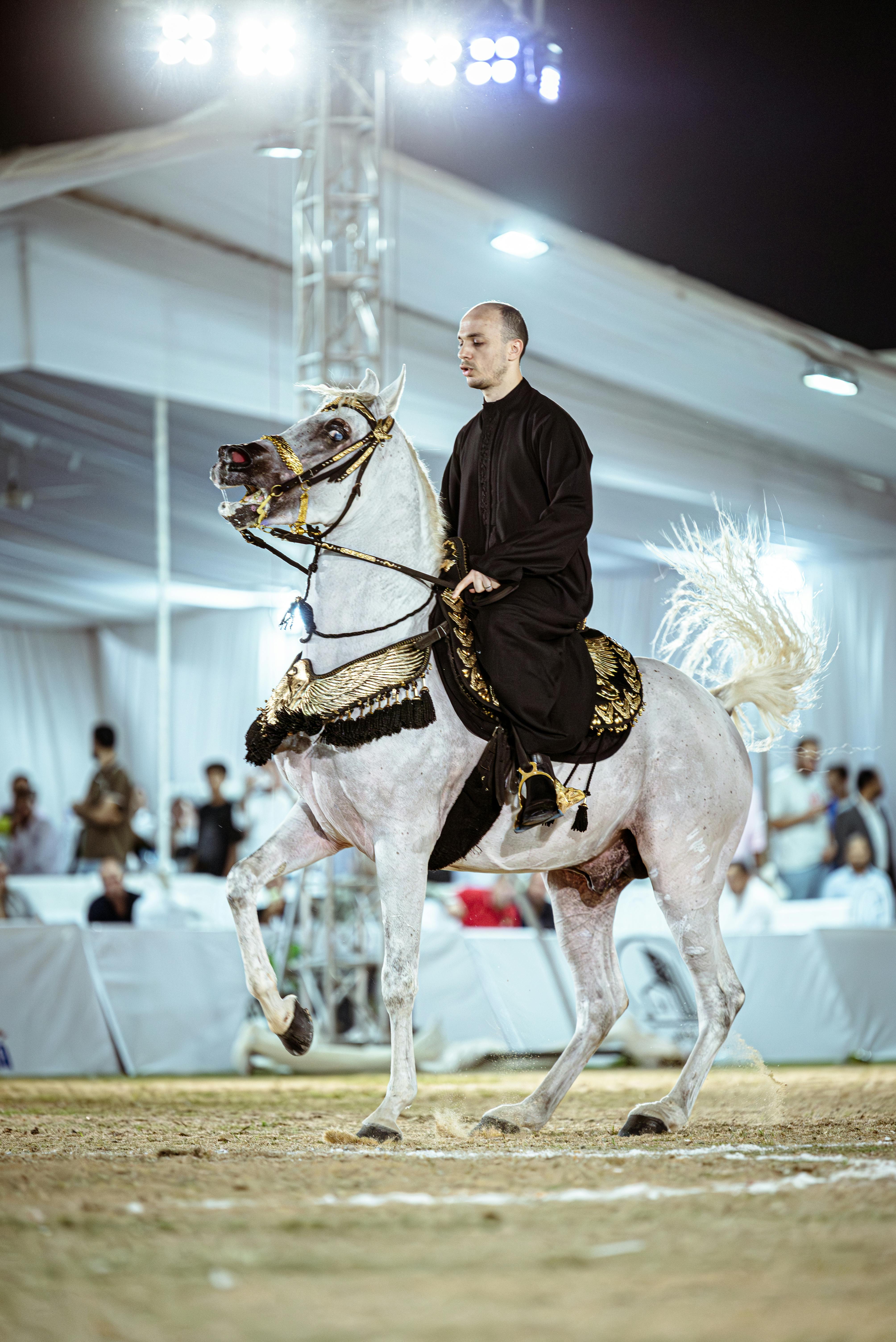 Middle East Photos, Download The BEST Free Middle East Stock Photos ...