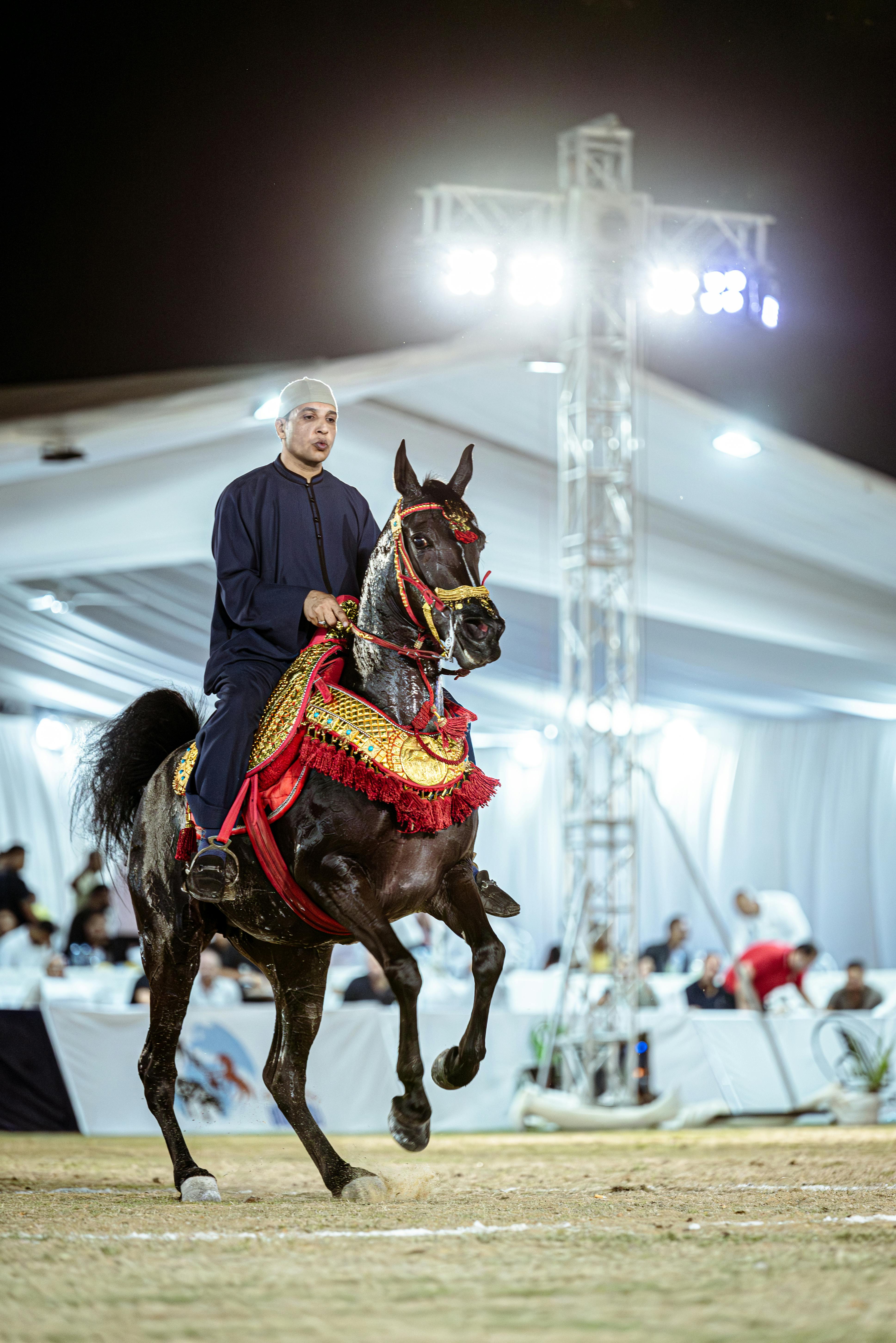 Middle East Photos, Download The BEST Free Middle East Stock Photos ...