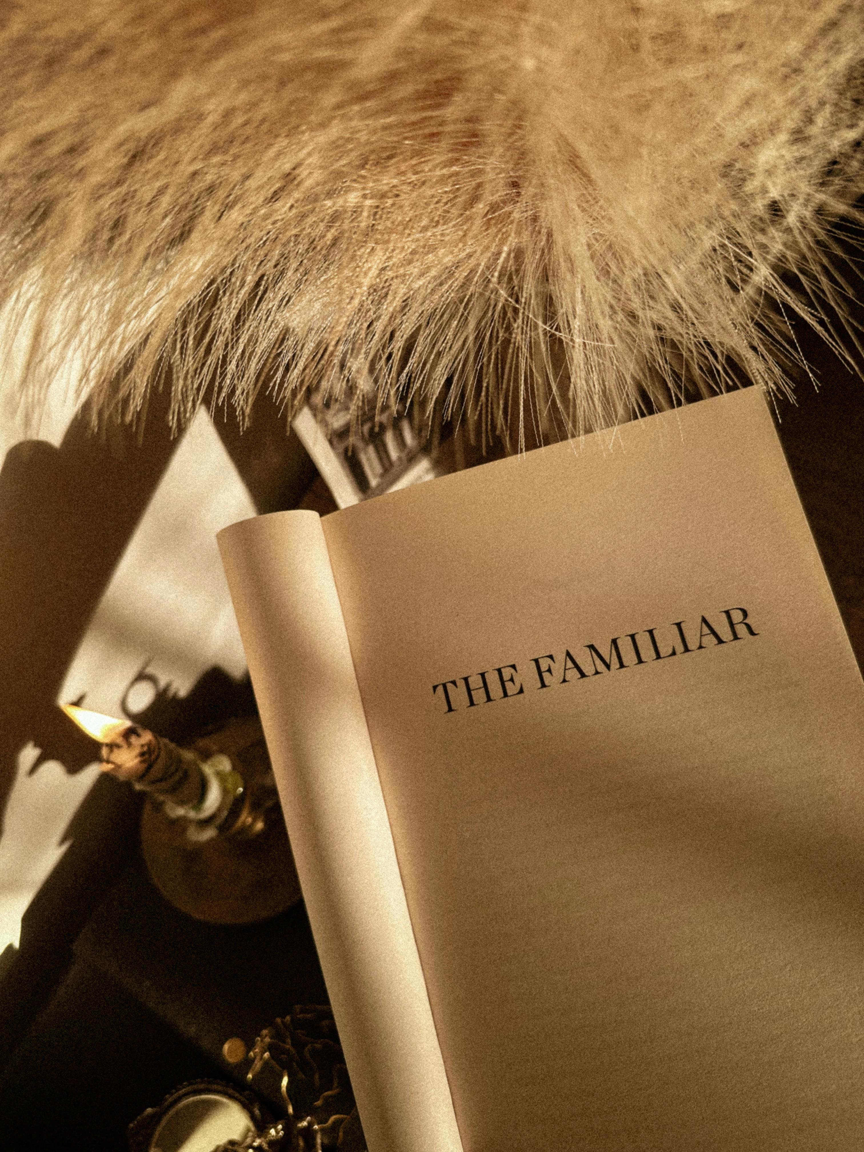 Candle Aubra Photos, Download The BEST Free Candle Aubra Stock Photos ...