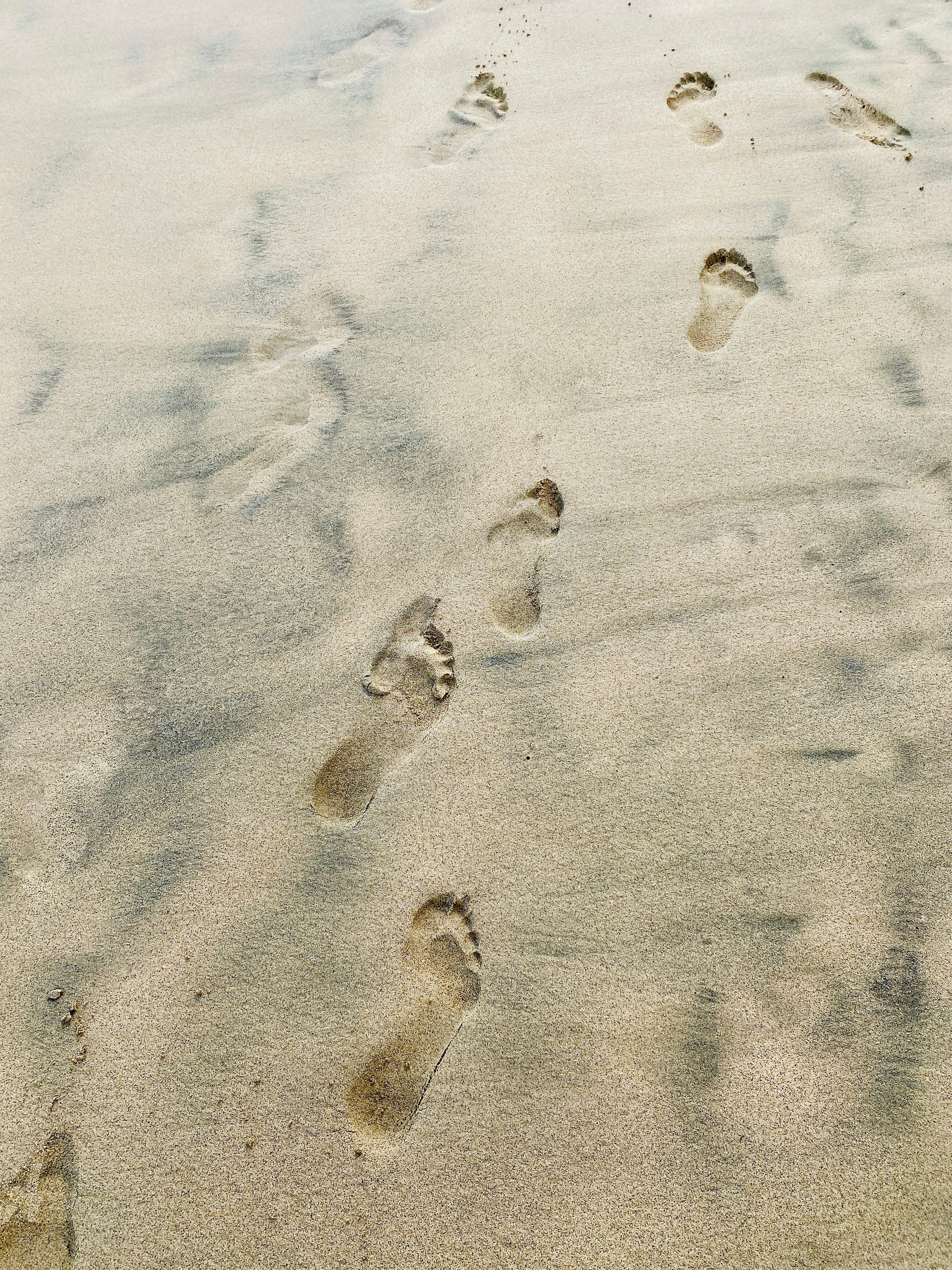 Footprints in the Sand on a Tranquil Beach · Free Stock Photo