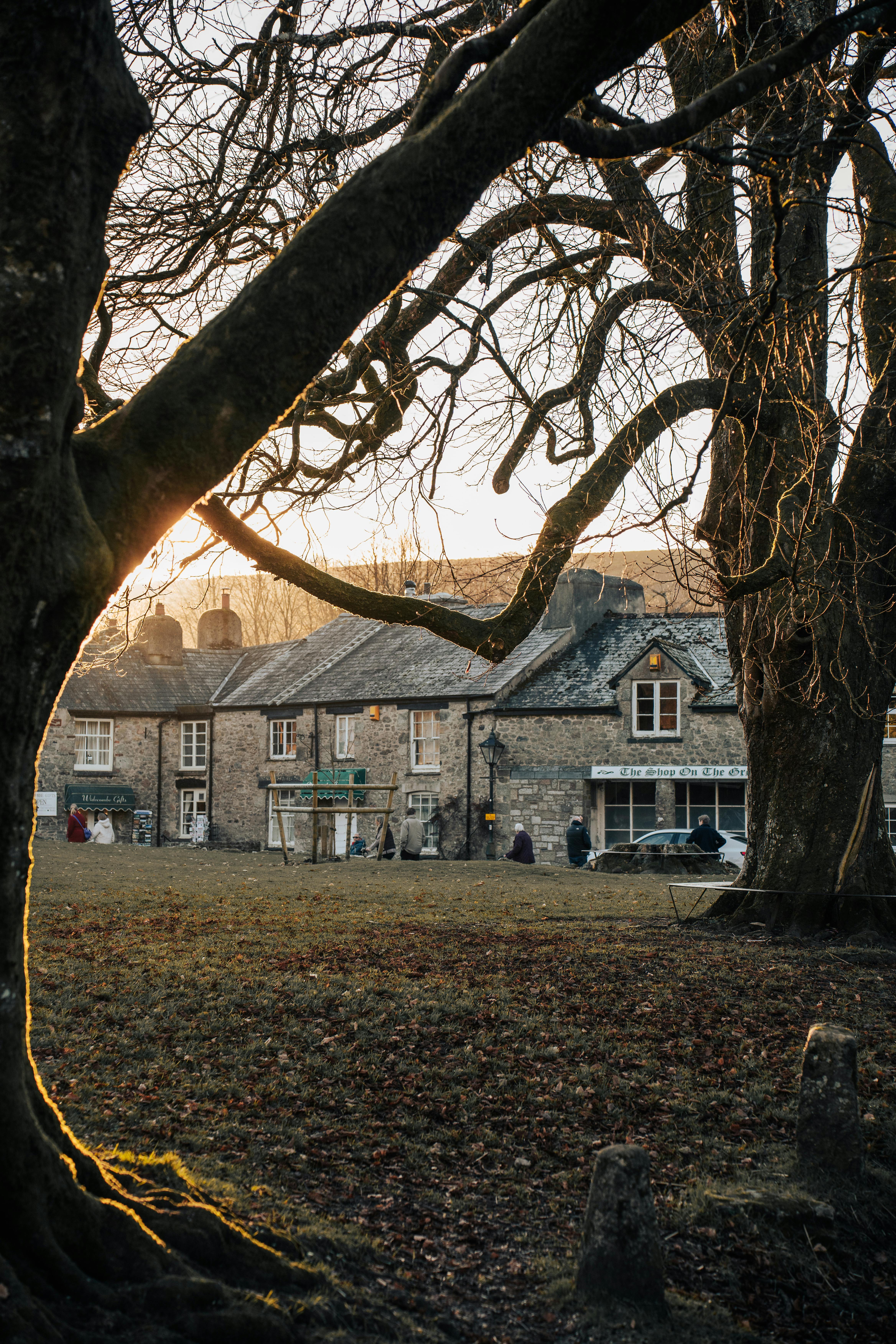 19.490+ Fotos y Imágenes de Anatomy+of+the+foot Gratis · Banco de Fotos ...