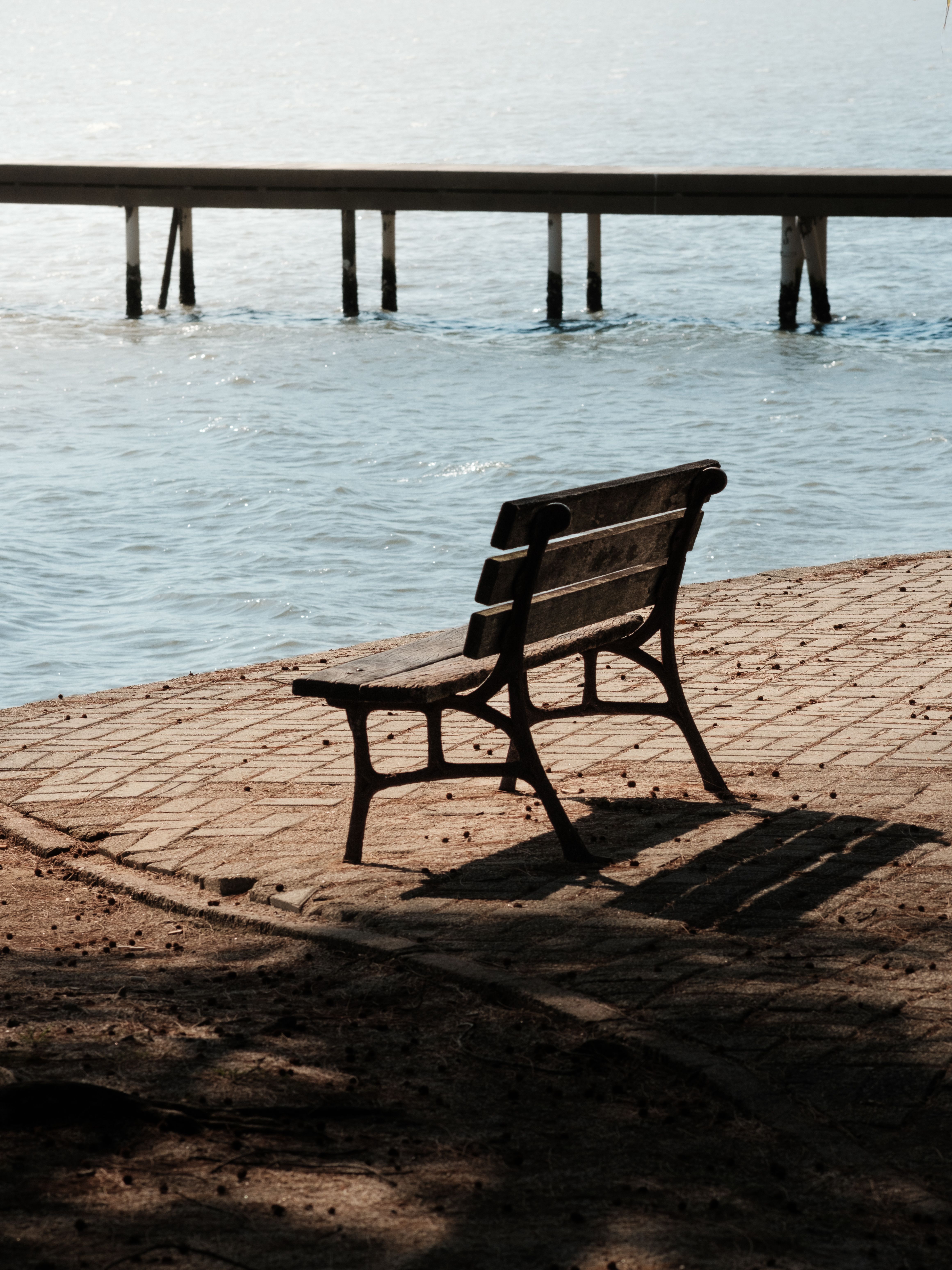 Peaceful Waterfront Bench in Santa Catarina · Free Stock Photo