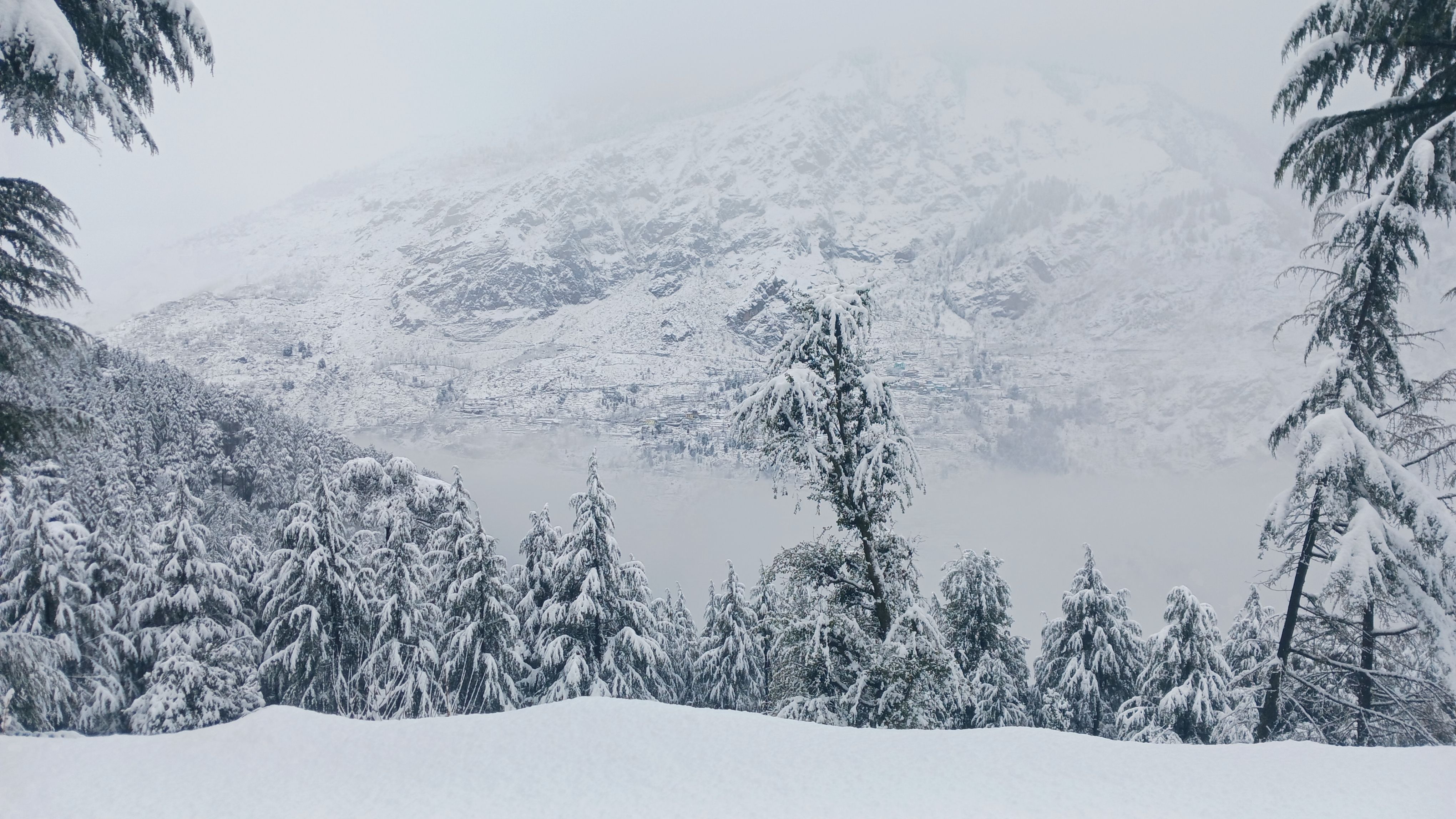 Scenic Snow-Covered Mountain and Forest Landscape · Free Stock Photo