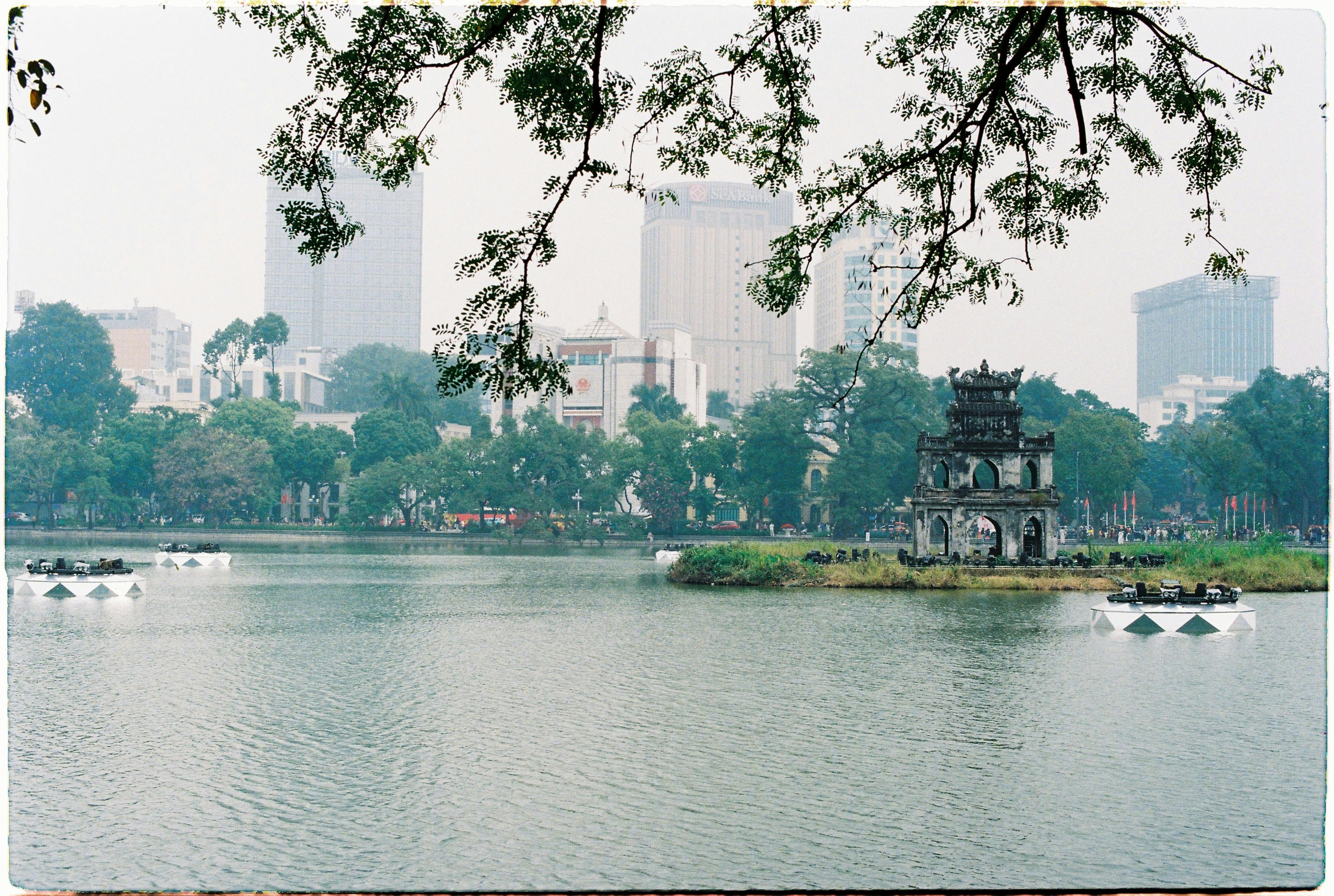 Amy+Adams+Stockings Photos, Download The BEST Free Amy+Adams+Stockings ...