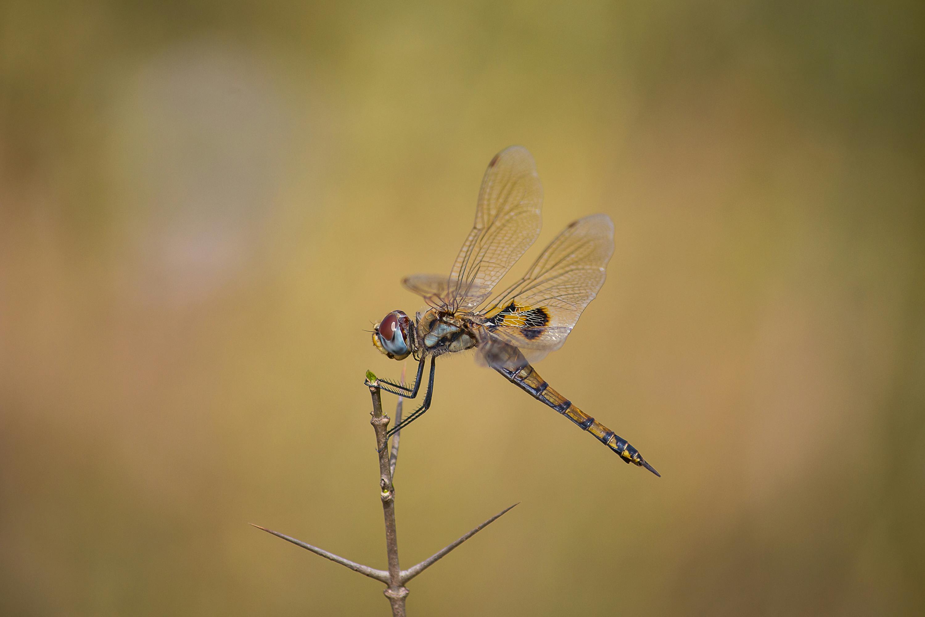 Mark+Williams+Teamates Photos, Download The BEST Free Mark+Williams ...