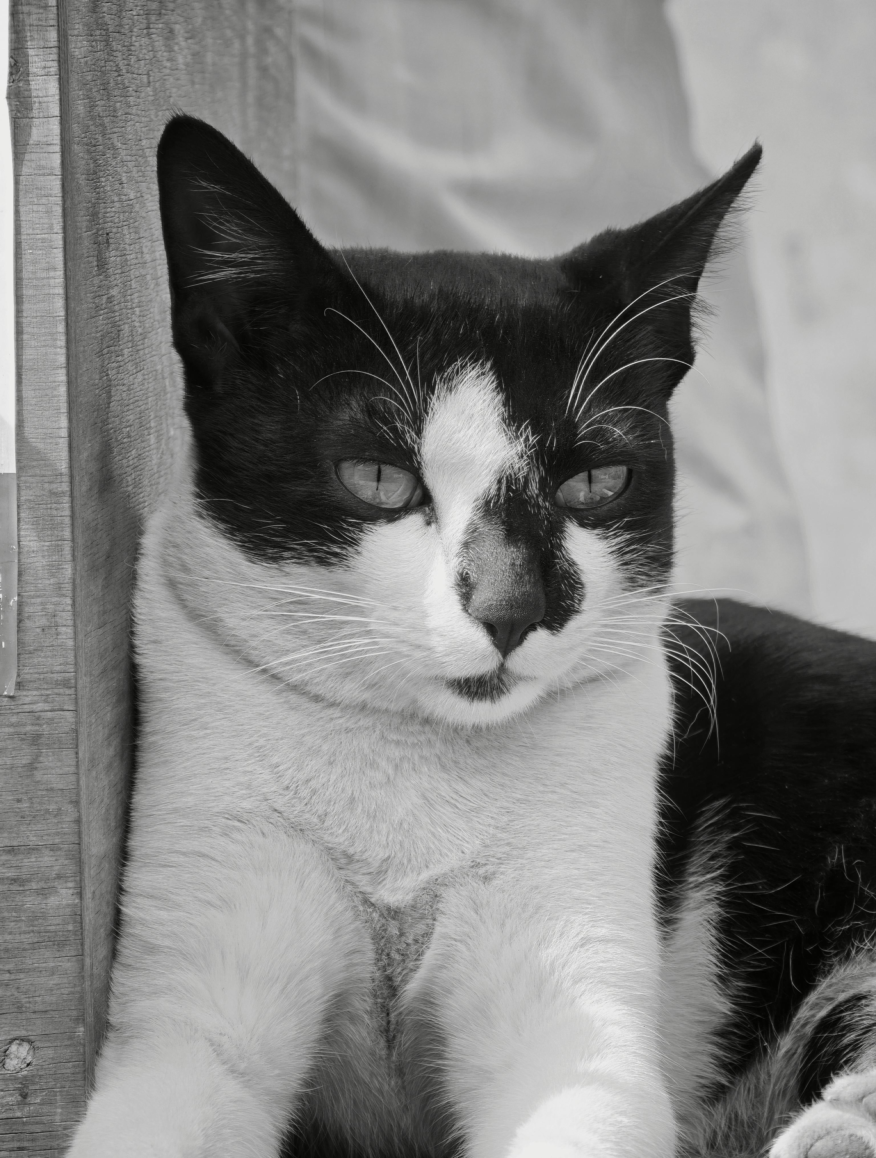 Anime Wallpaper' Photos, Download The BEST Free Anime Wallpaper' Stock ...