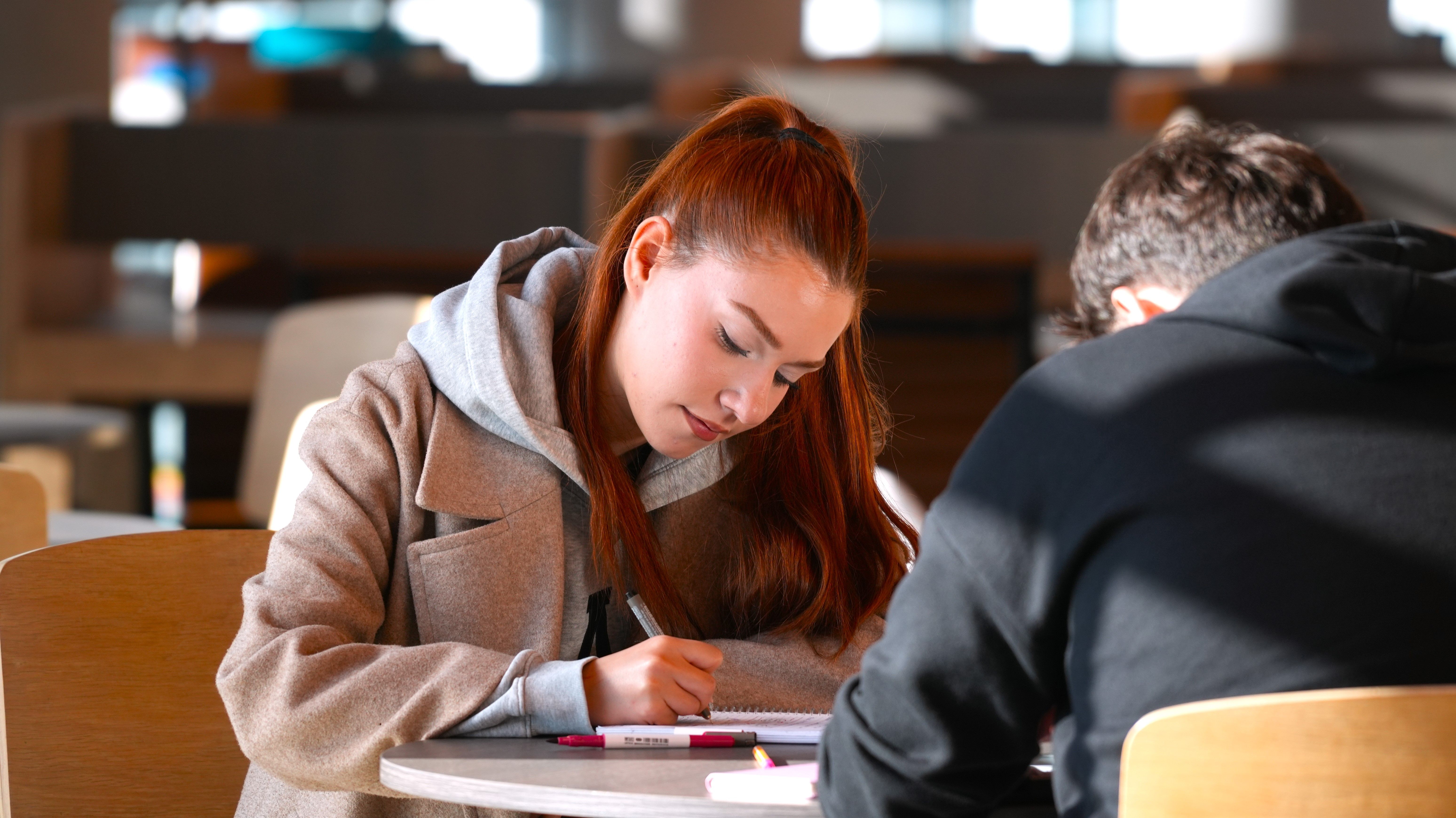 Student Studying Photos, Download The BEST Free Student Studying Stock ...