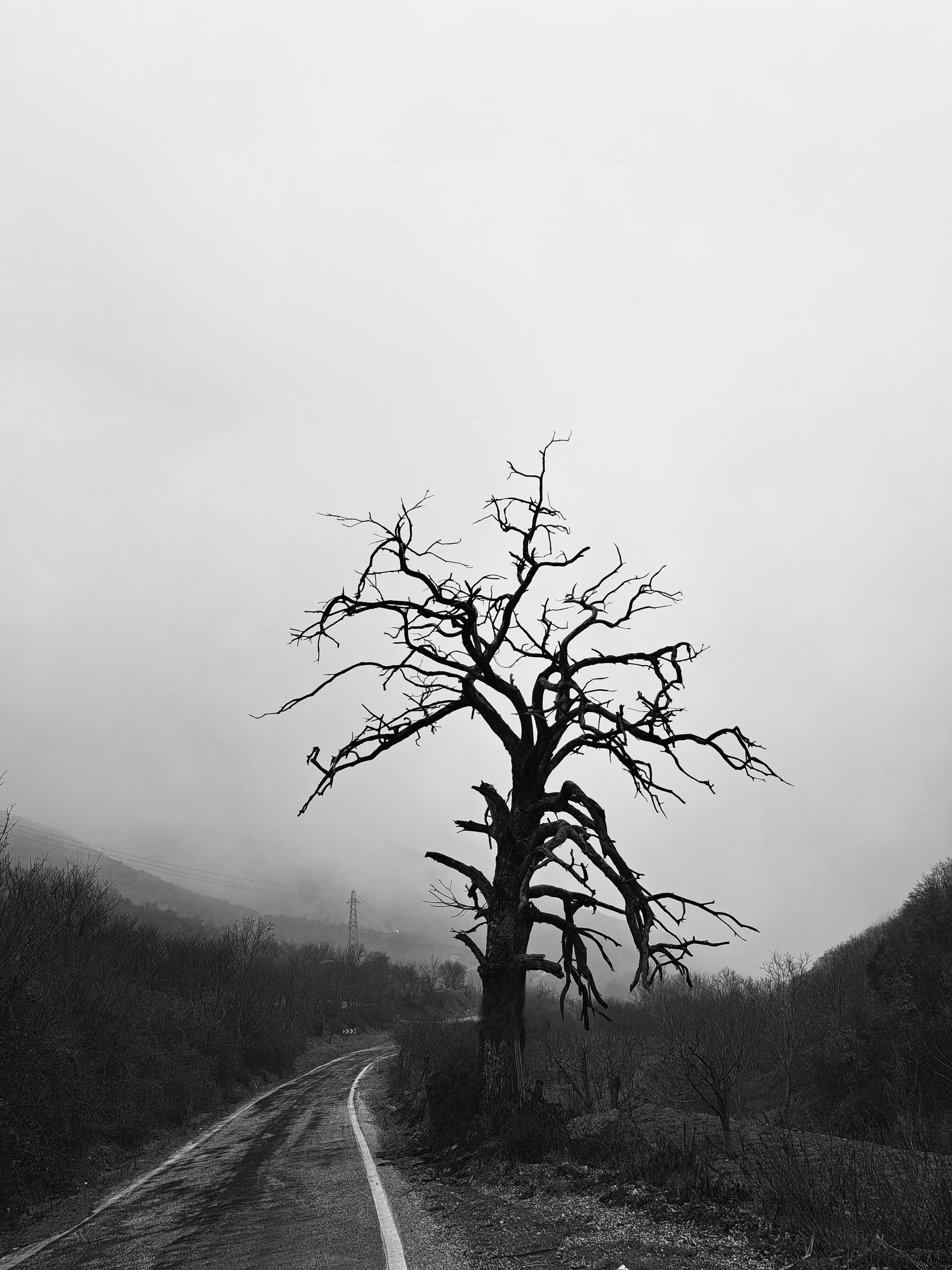 Gloomy Sky Photos, Download The BEST Free Gloomy Sky Stock Photos & HD ...