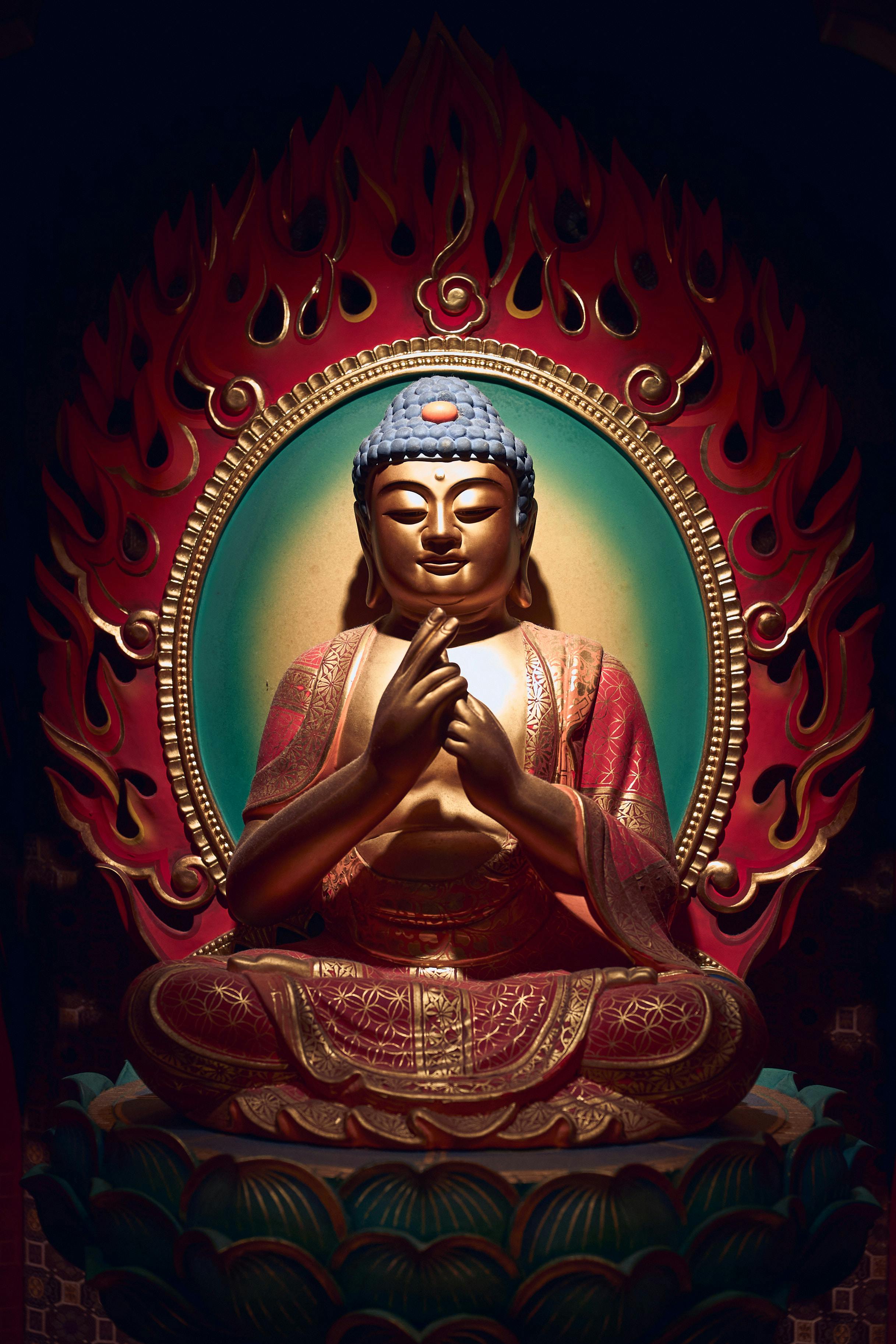 Image+Of+A+Fistula Photos, Download The BEST Free Image+Of+A+Fistula ...