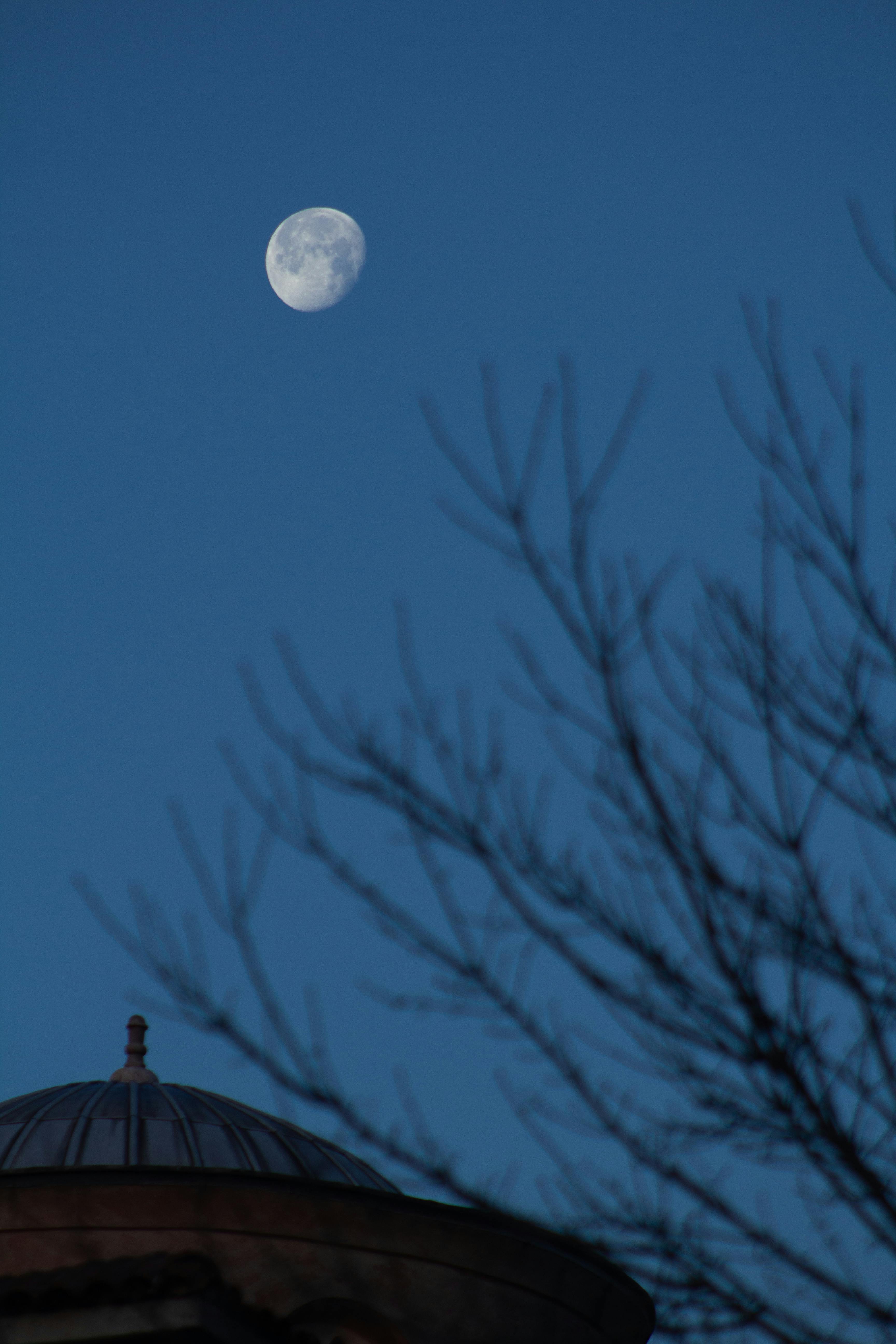 Night Sky Pfp Photos, Download The BEST Free Night Sky Pfp Stock Photos ...