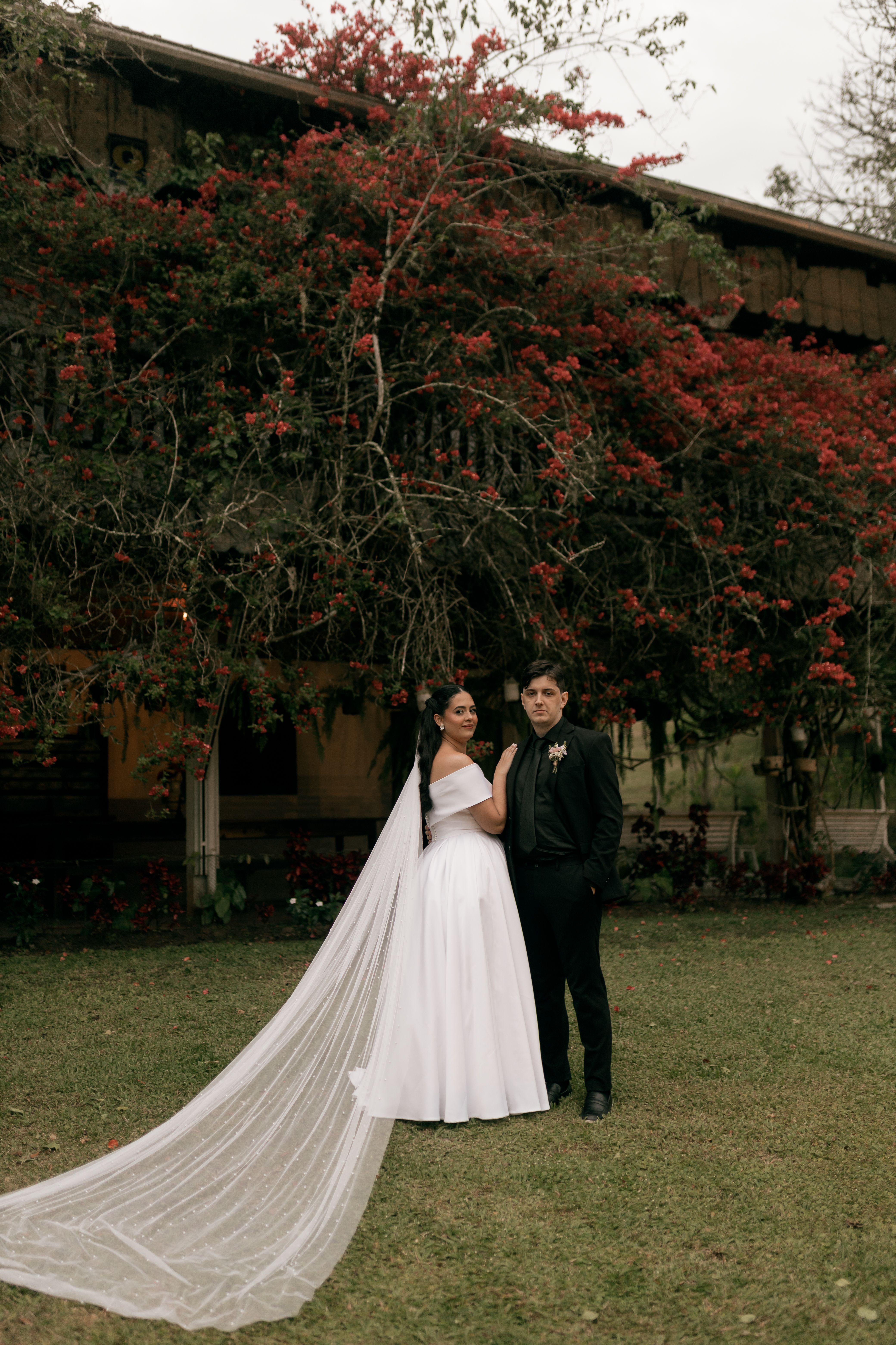 Elegant Outdoor Wedding Portrait with Bougainvillea · Free Stock Photo