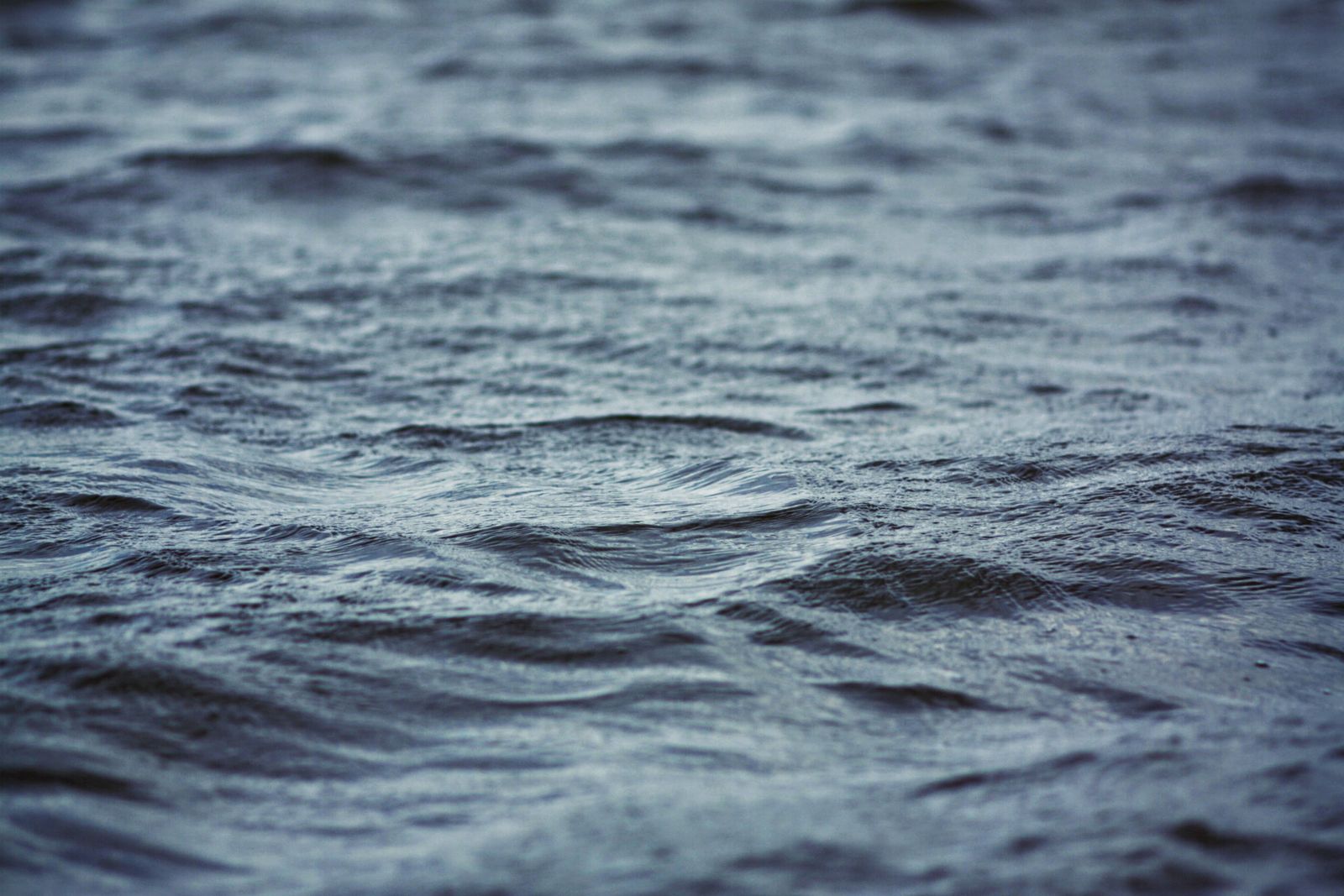 Surface Water Photos, Download The BEST Free Surface Water Stock Photos ...