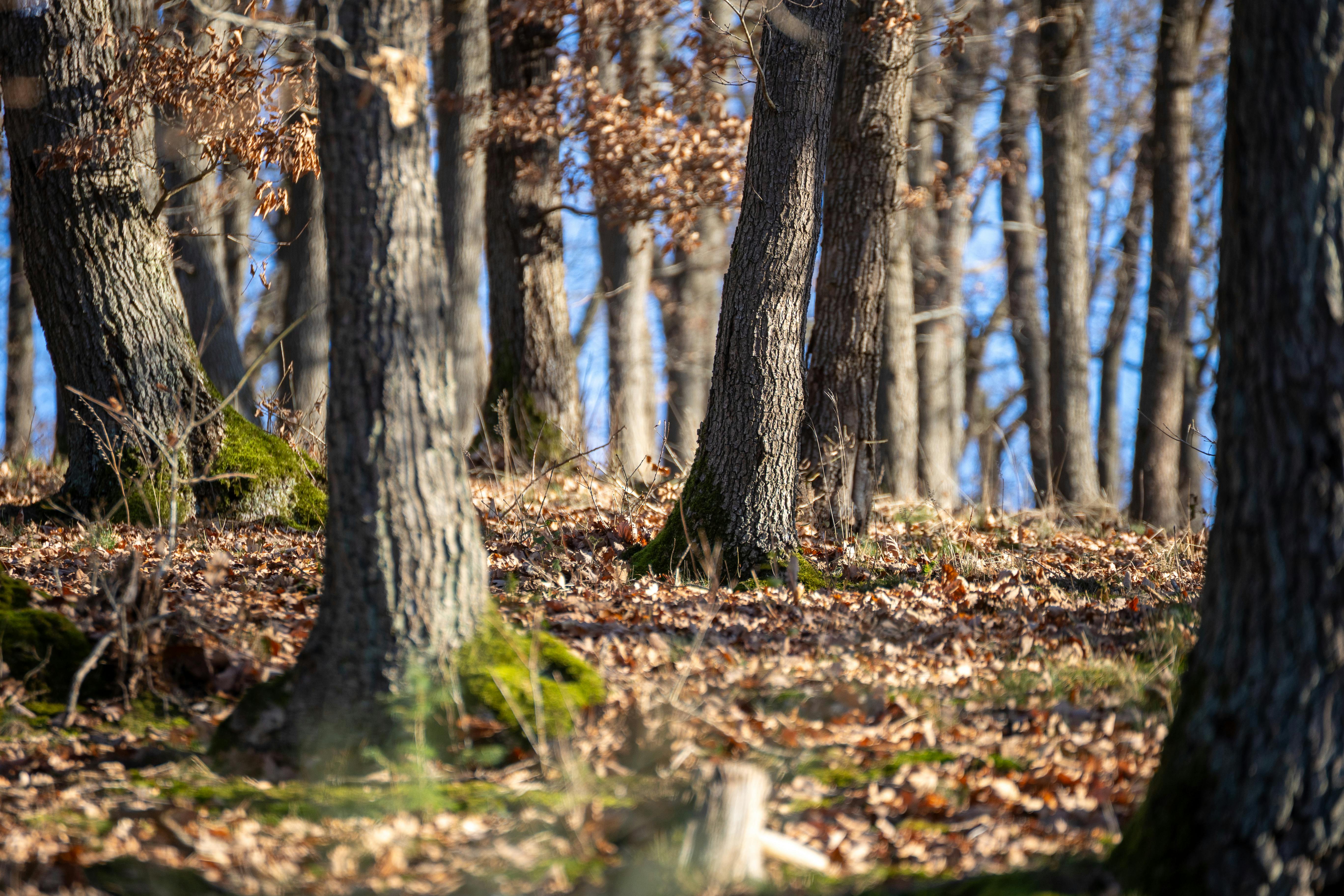 Imvu Textures Photos, Download The BEST Free Imvu Textures Stock Photos ...