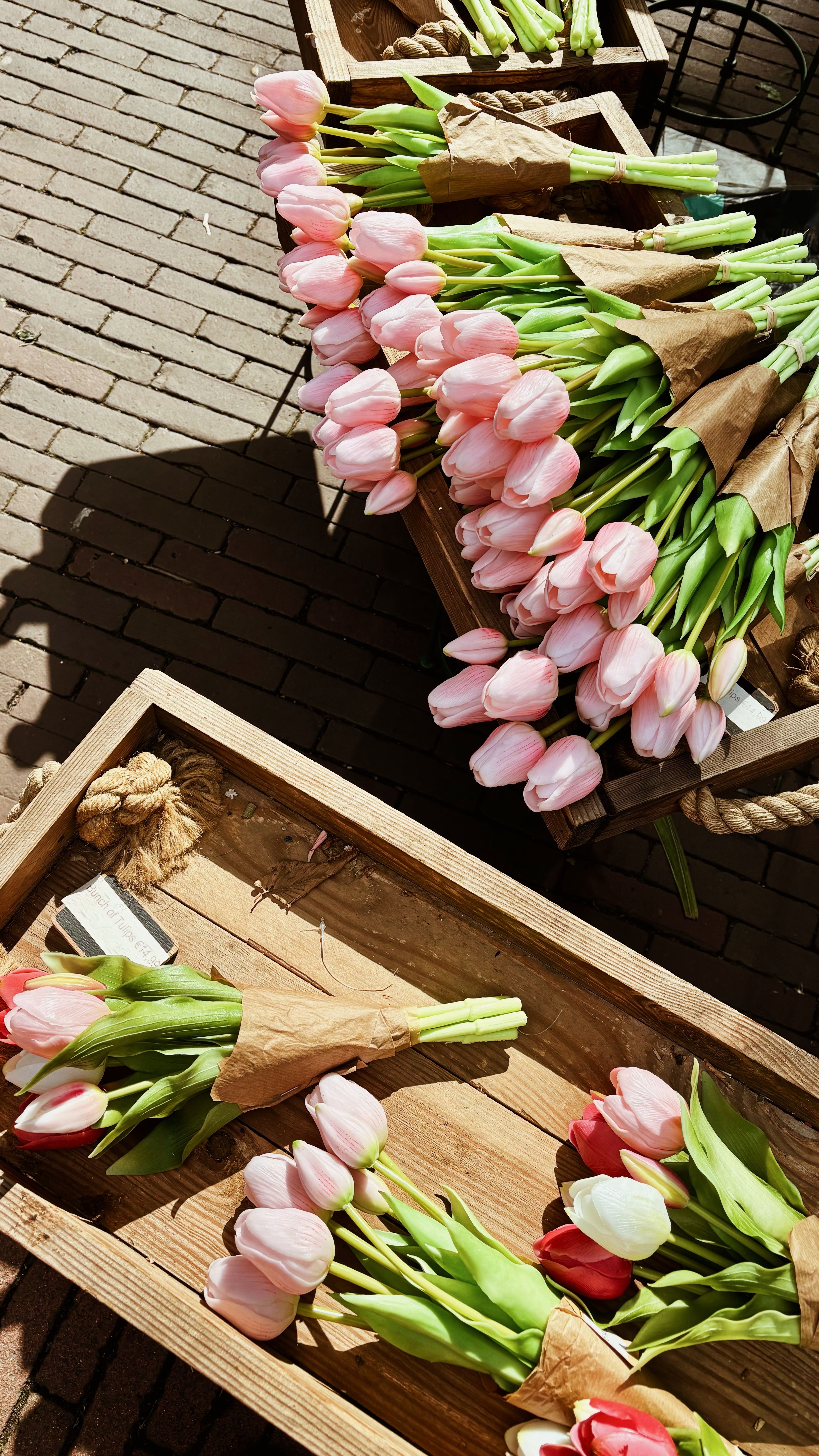 Charming Display of Pink Tulip Bouquets Outdoors · Free Stock Photo