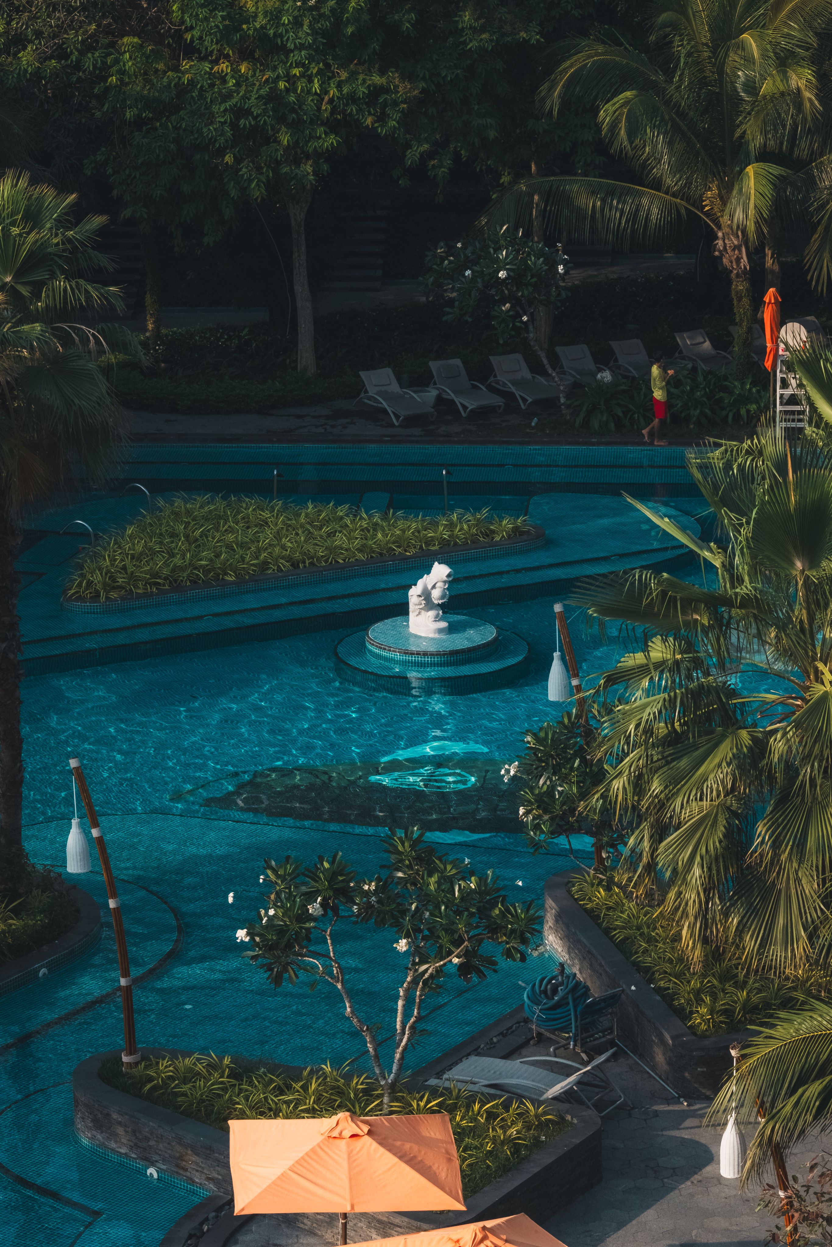 Lush Resort Pool with Tropical Surroundings · Free Stock Photo