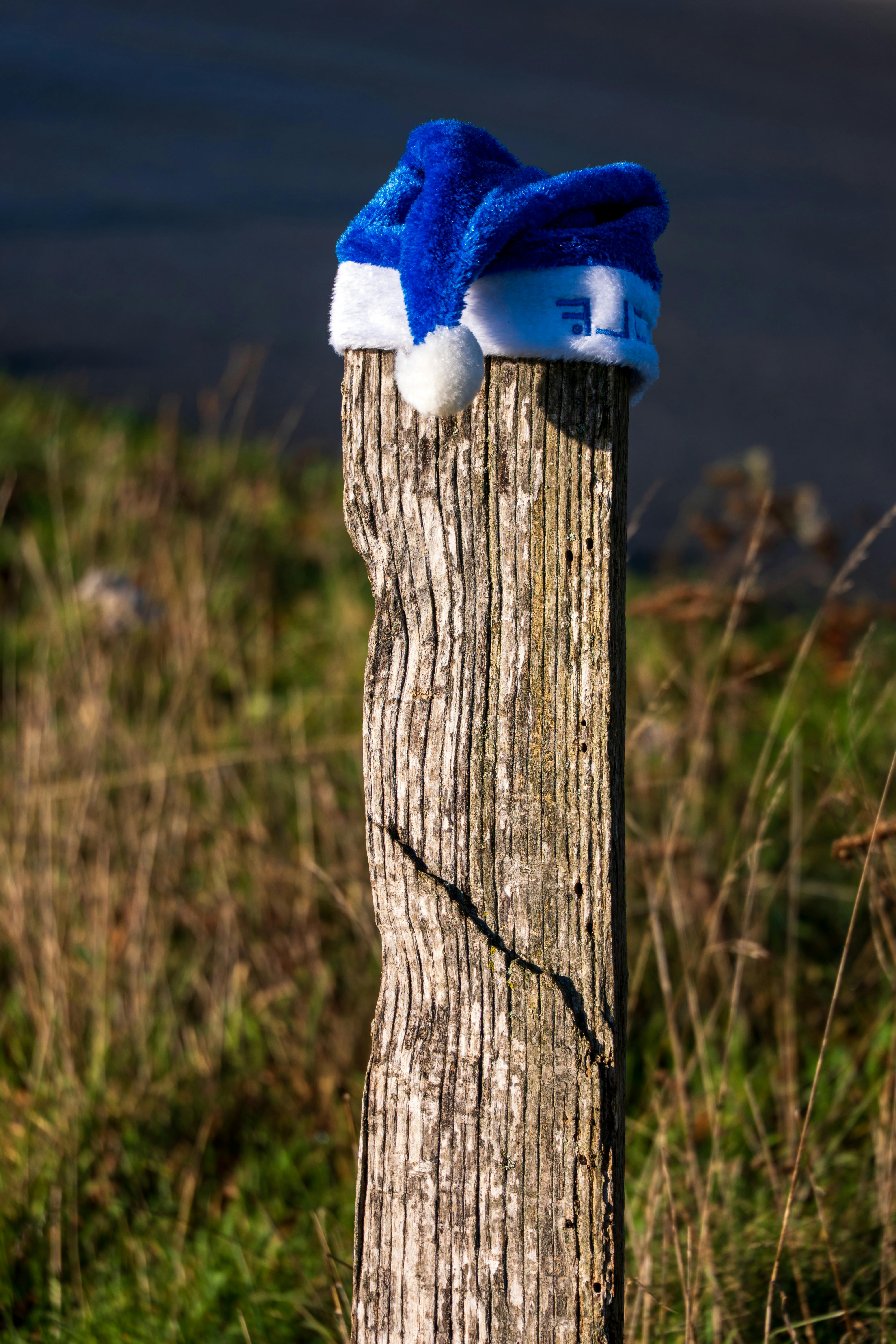 Secret Santa Photos, Download The BEST Free Secret Santa Stock Photos ...