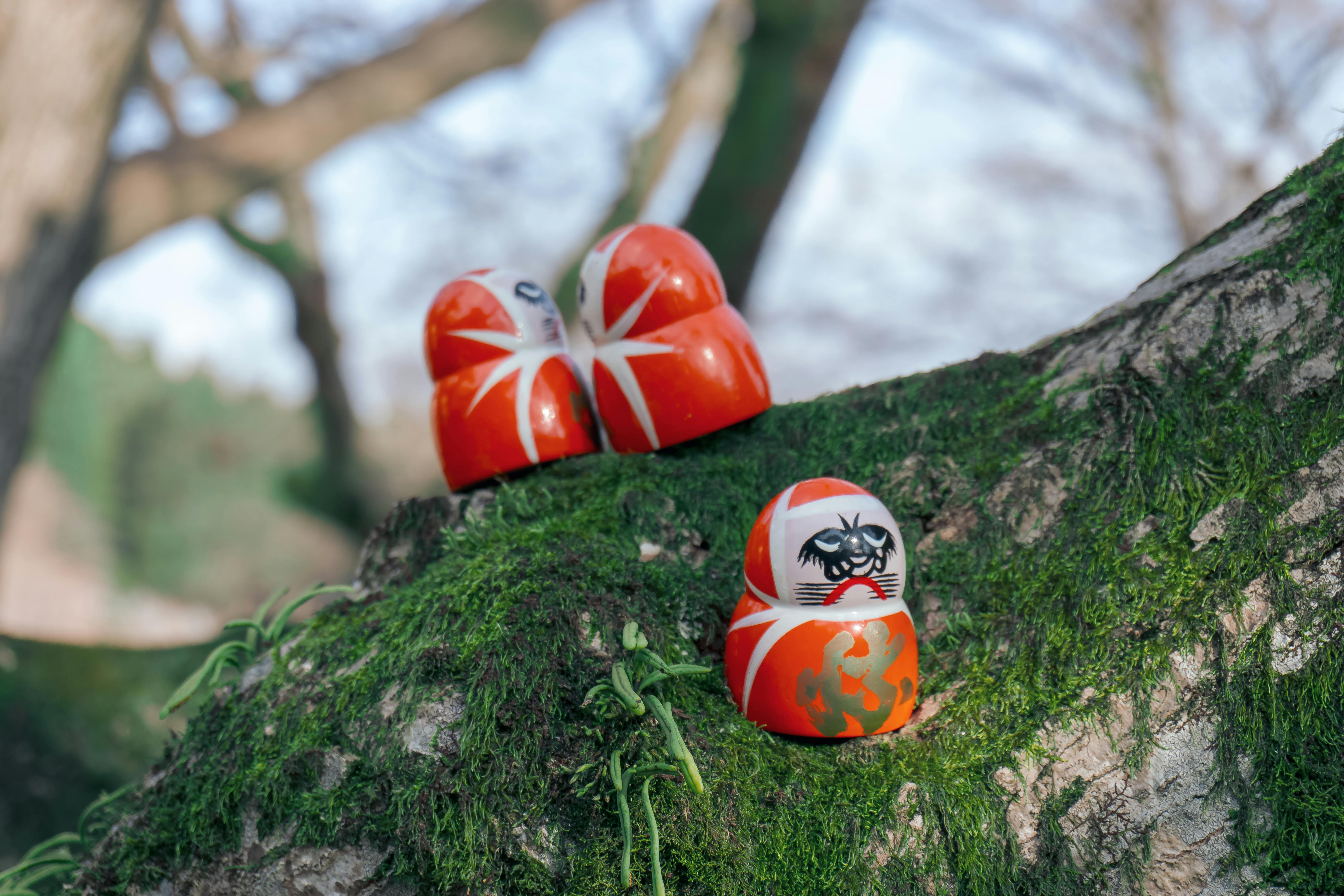 Japanese+Big+Booty Photos, Download The BEST Free Japanese+Big+Booty ...