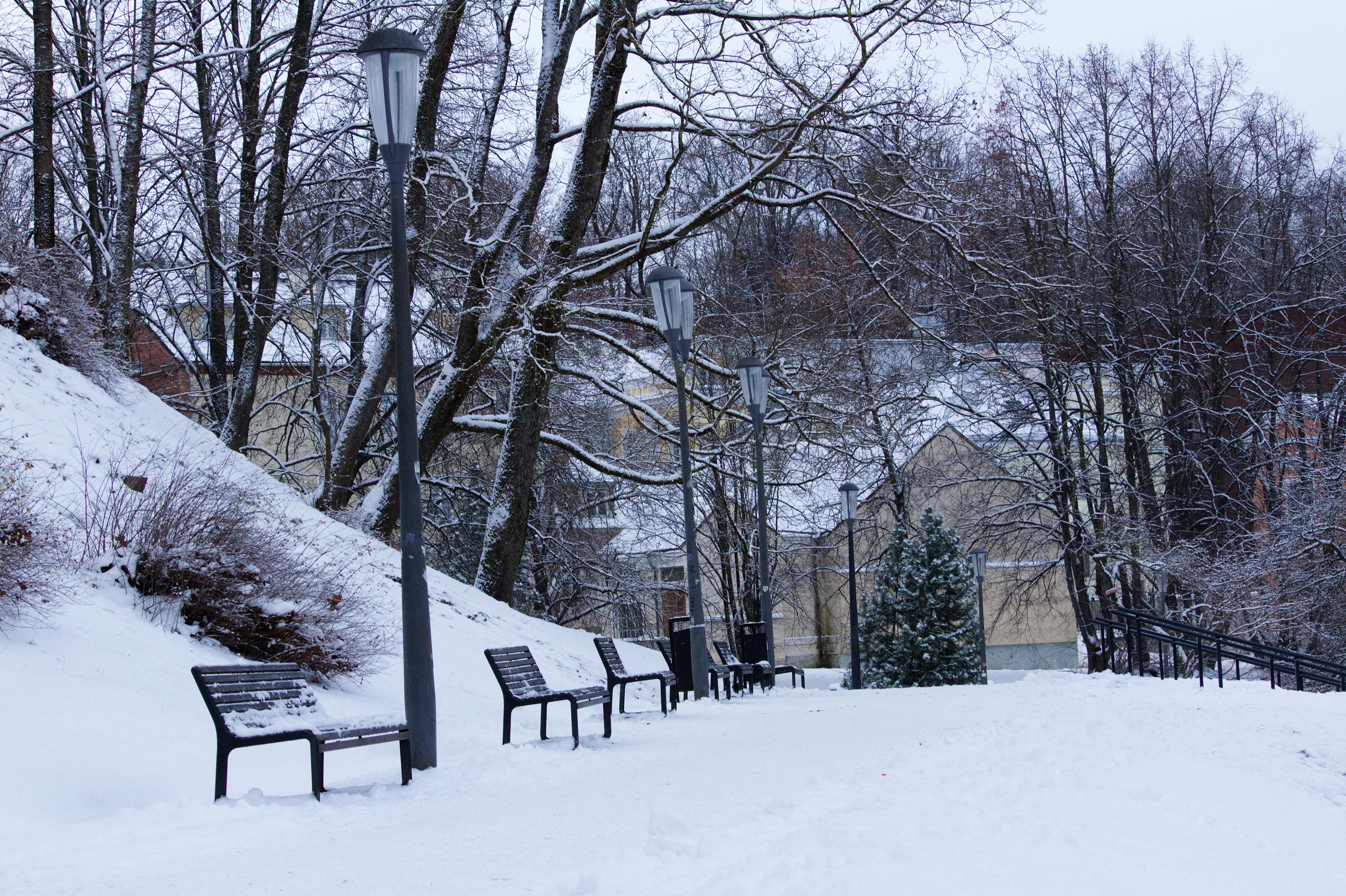 Pașii pentru obținerea unui cod de identificare fiscală | Ghidul Legal ...