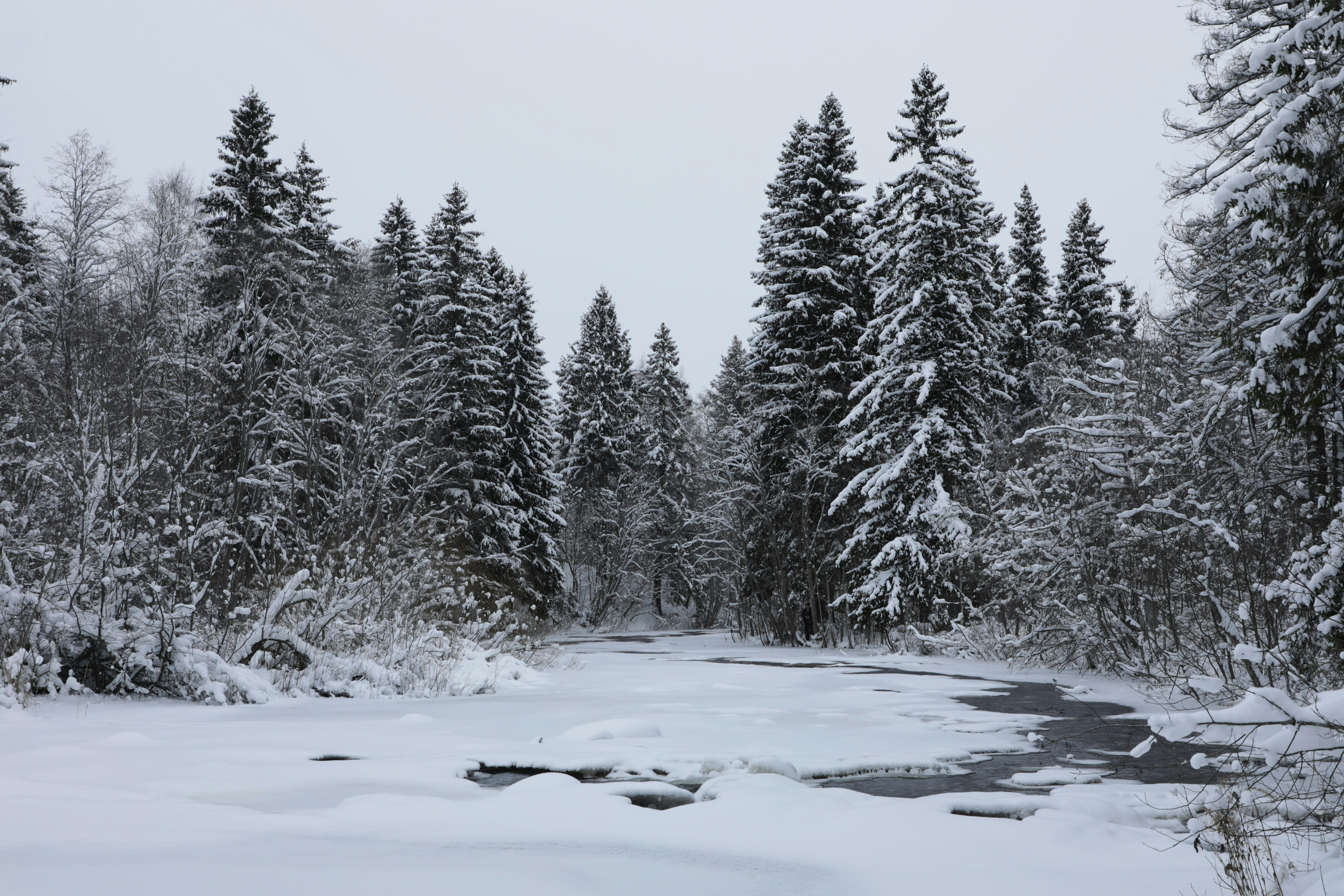 Ipzz 034+4k Photos, Download The BEST Free Ipzz 034+4k Stock Photos & HD Images