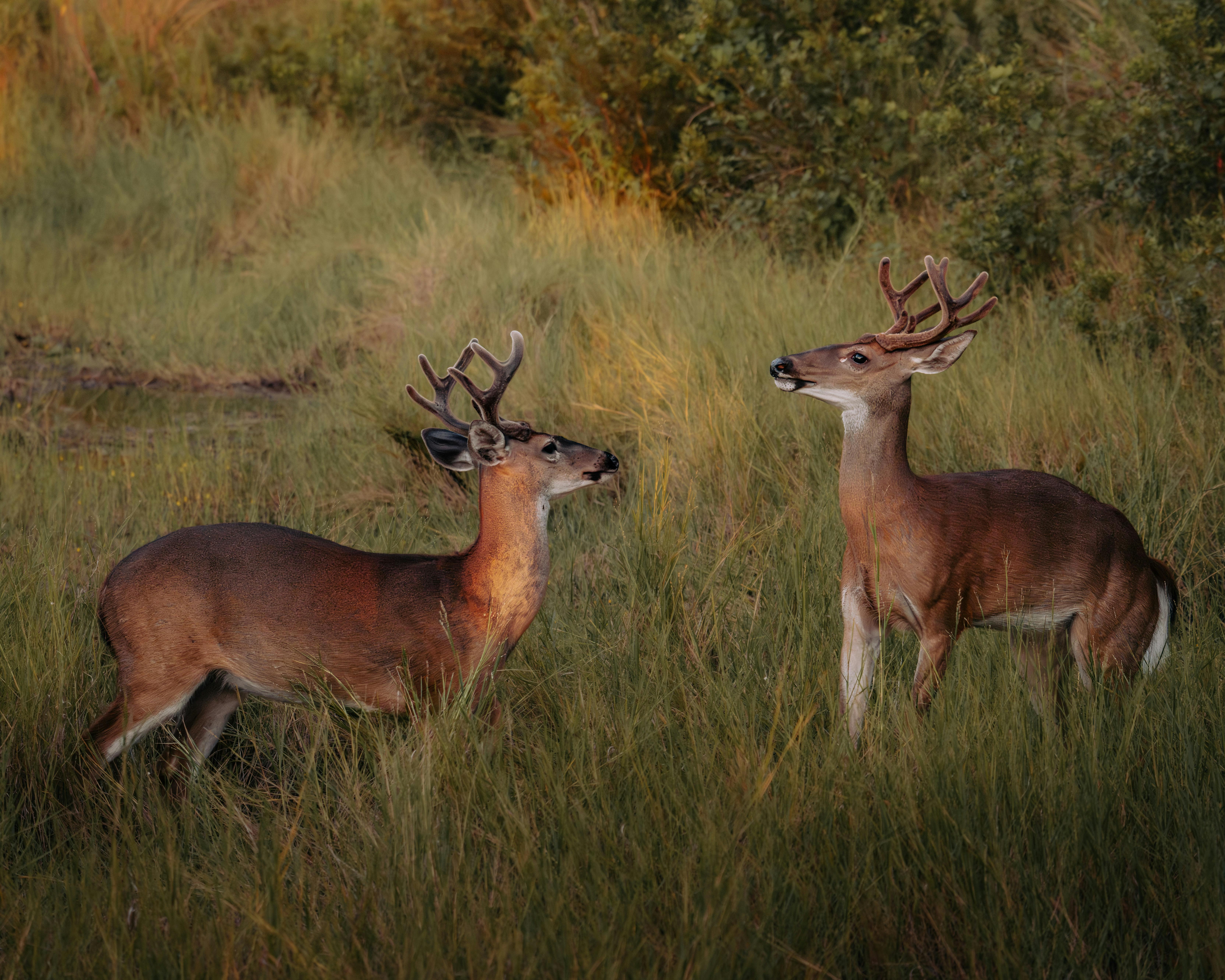 Perpus Bung Karno Photos, Download The BEST Free Perpus Bung Karno ...
