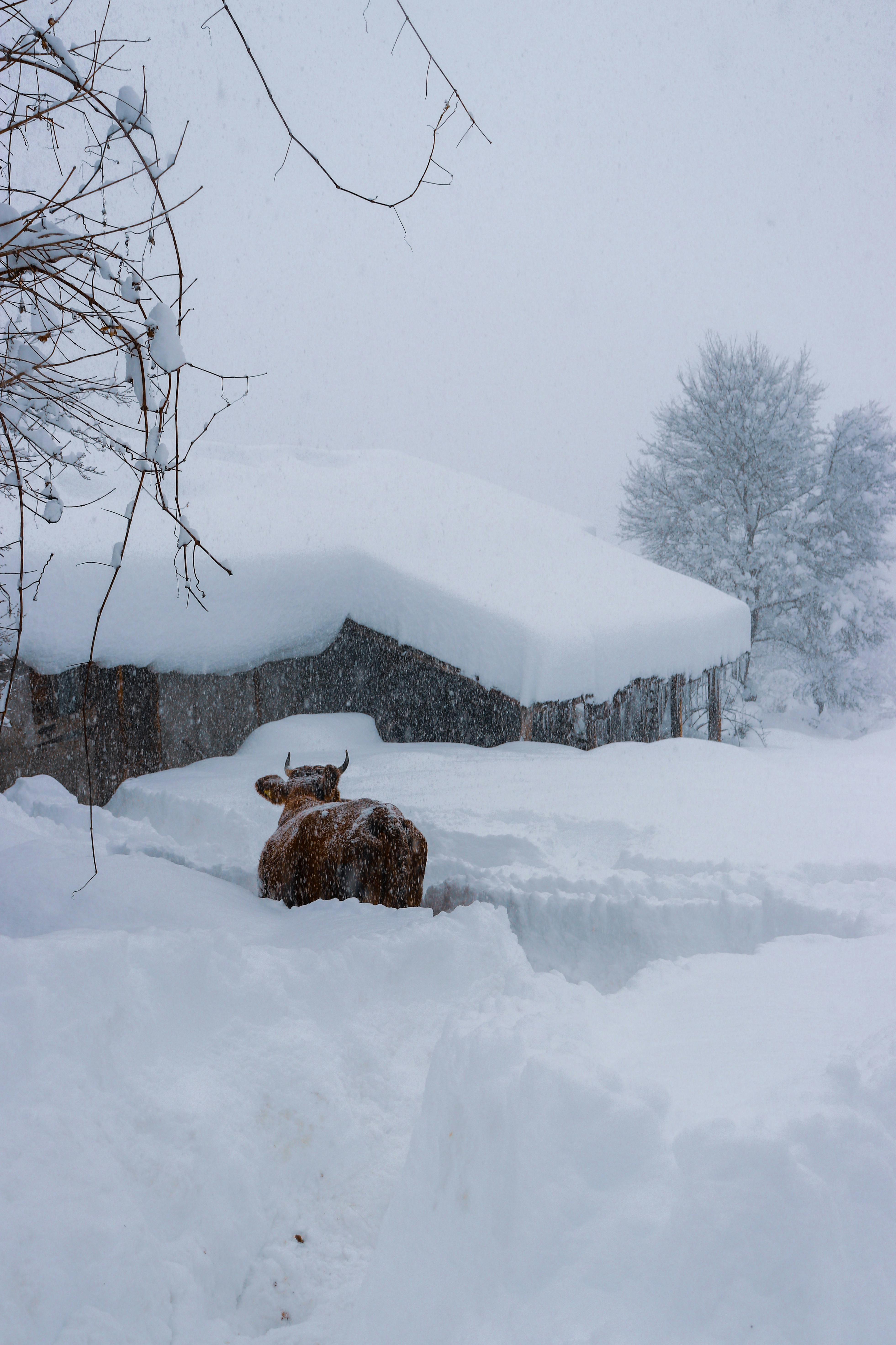 Honduras Country Photos, Download The BEST Free Honduras Country Stock ...