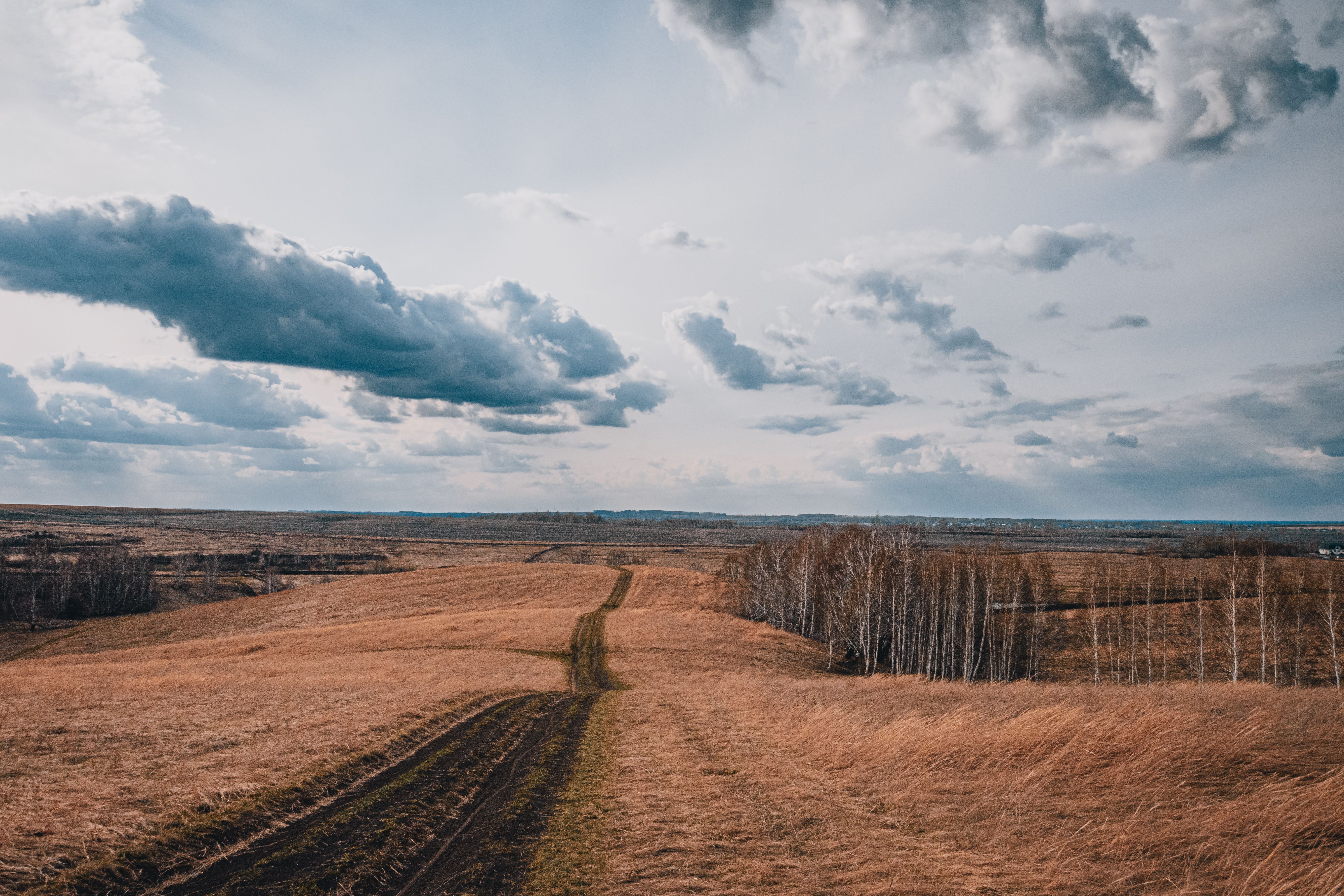 Scenic Autumn Landscape with Dramatic Sky · Free Stock Photo