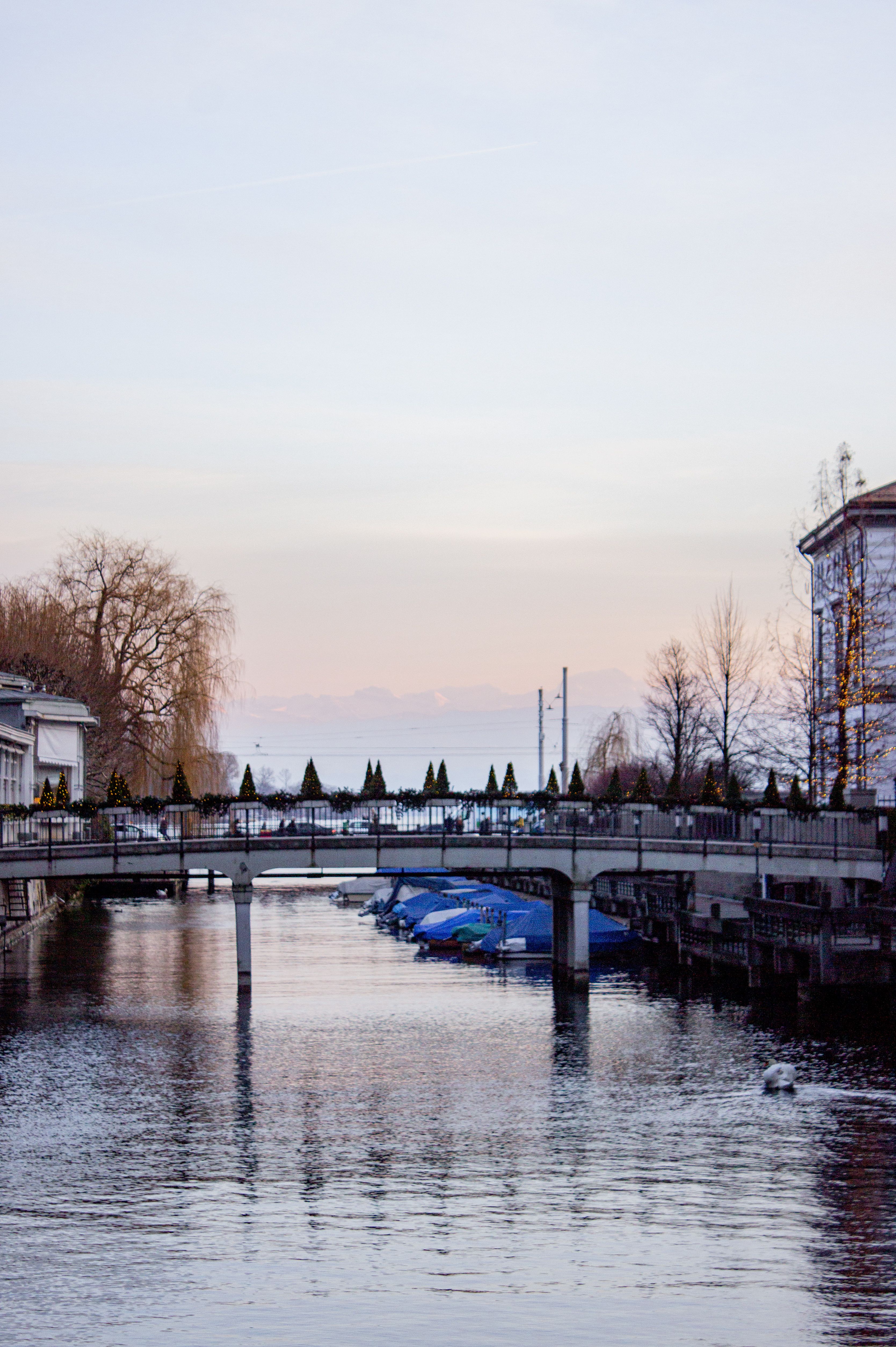 Catfer+Canal Photos, Download The BEST Free Catfer+Canal Stock Photos ...