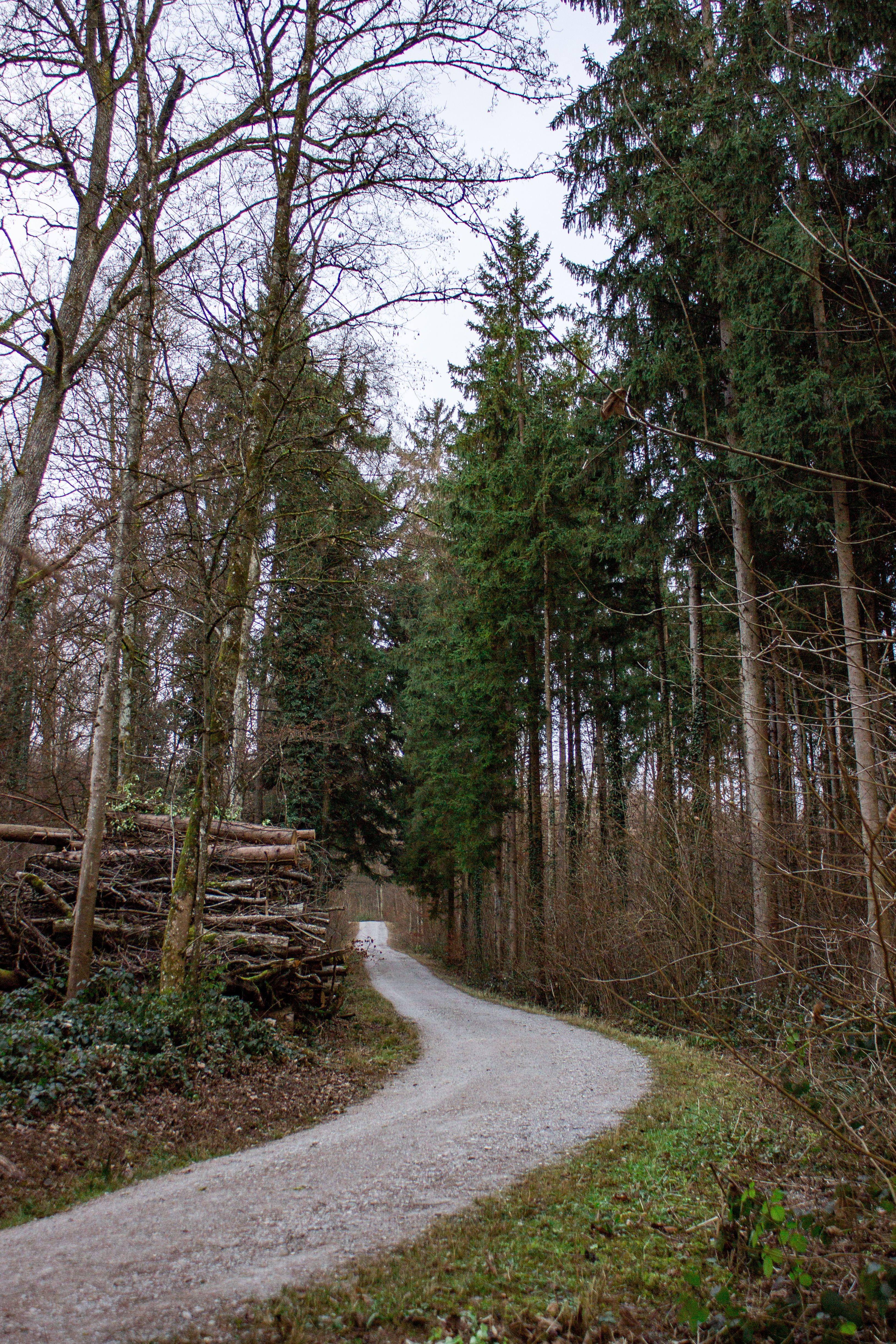 Peaceful Path Photos, Download The BEST Free Peaceful Path Stock Photos ...