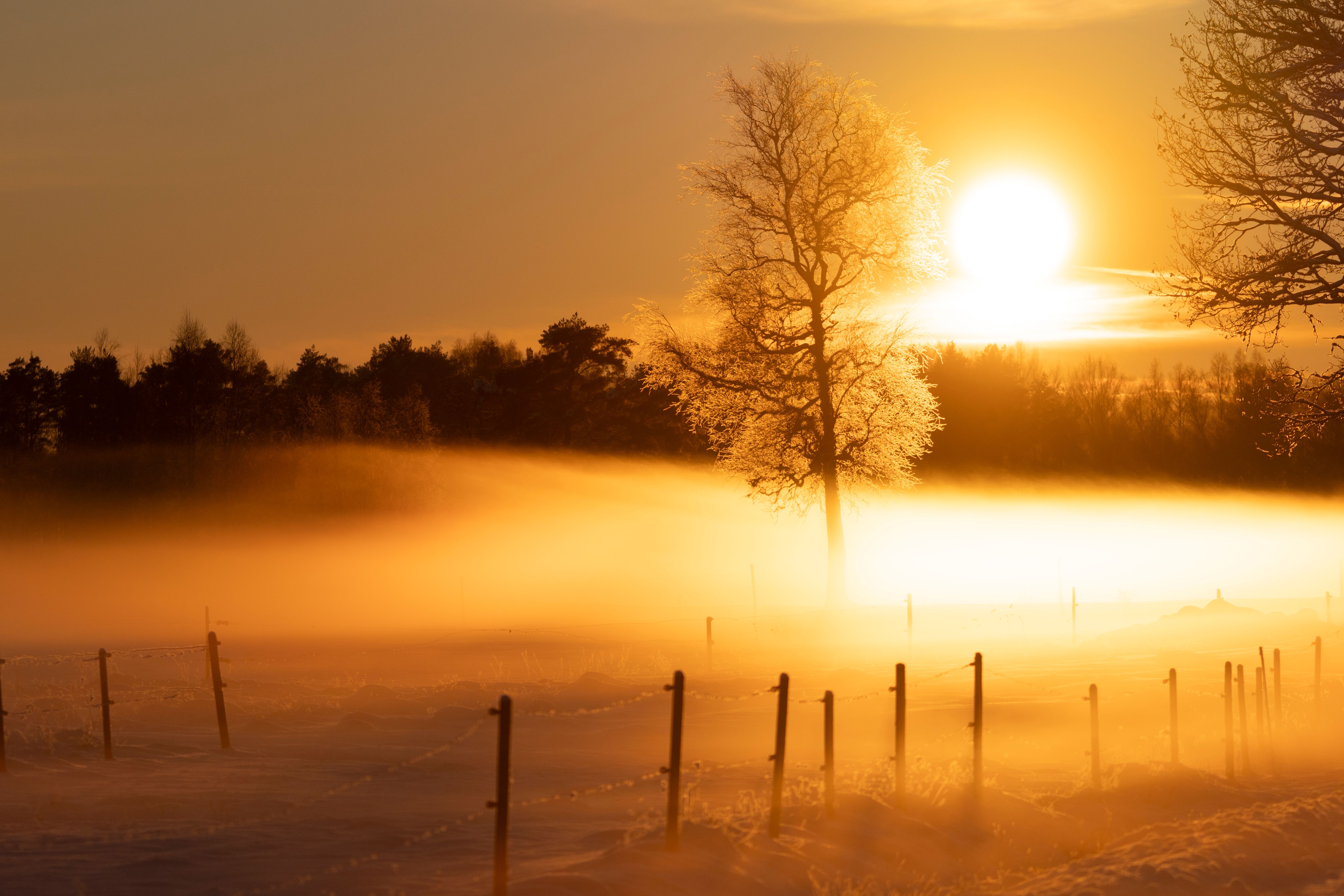 Sunset Over Snowy Winter Landscape · Free Stock Photo