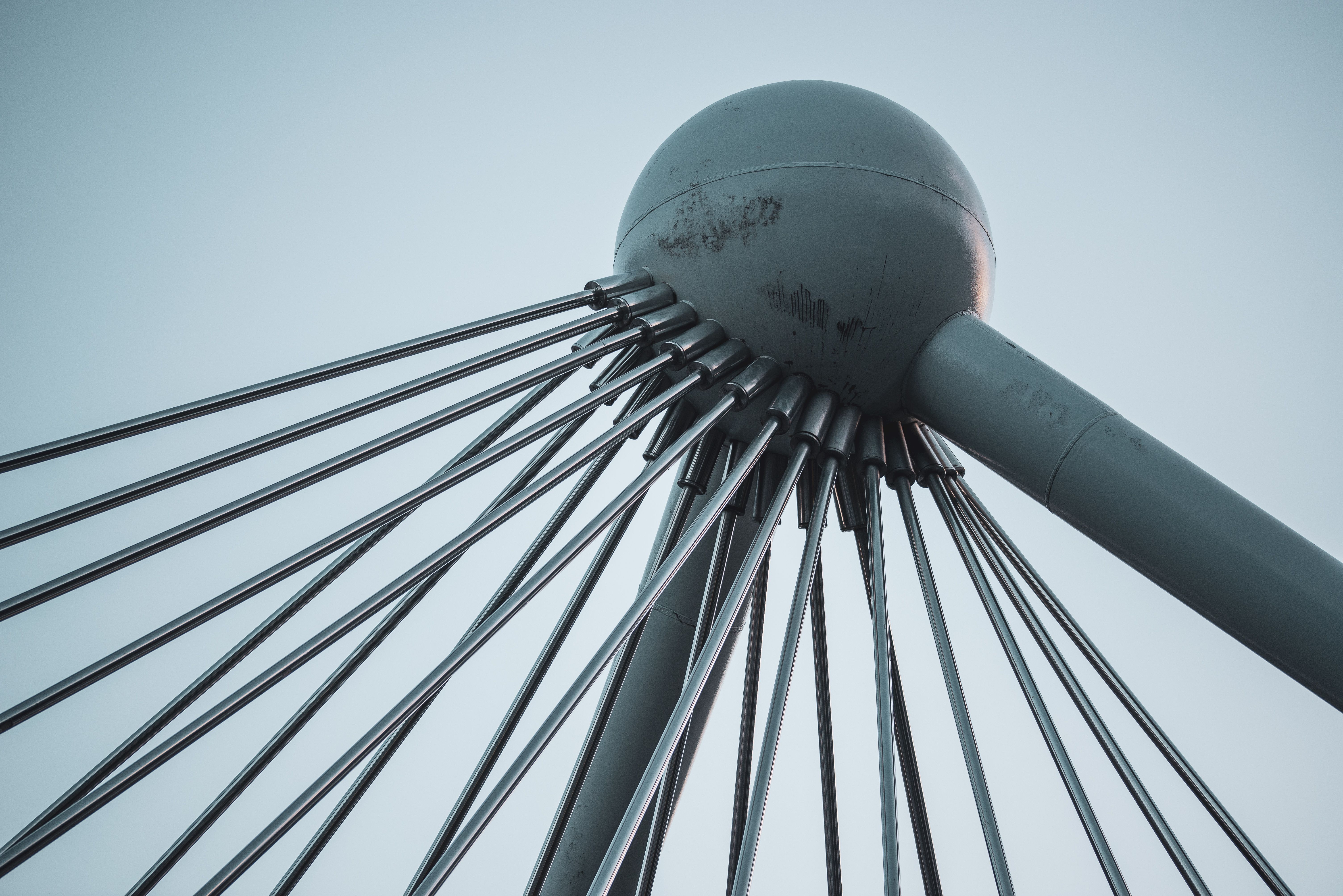 Modern Suspension Bridge Cables in Close-Up · Free Stock Photo