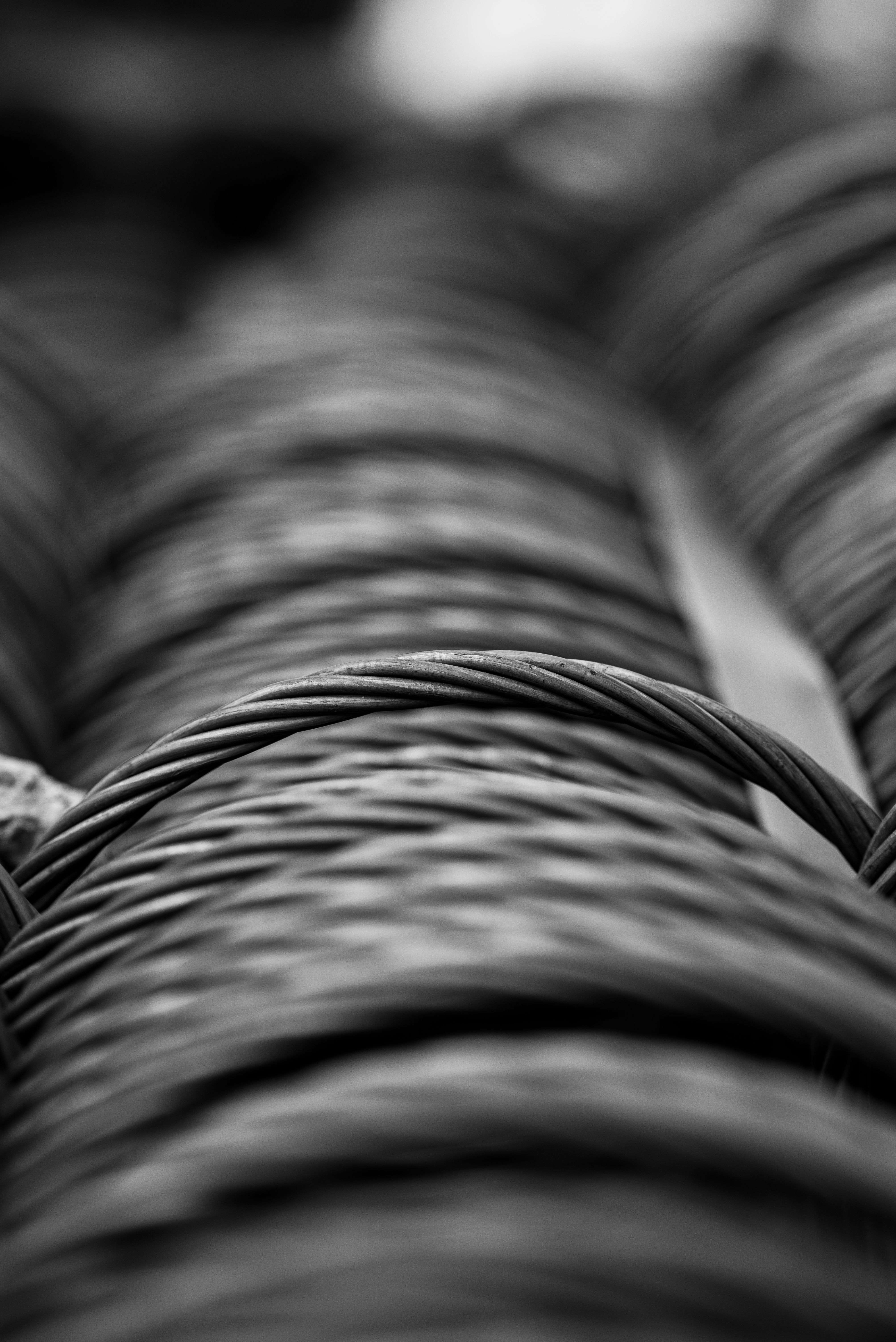 Close-up of Coiled Steel Wire in Black and White · Free Stock Photo