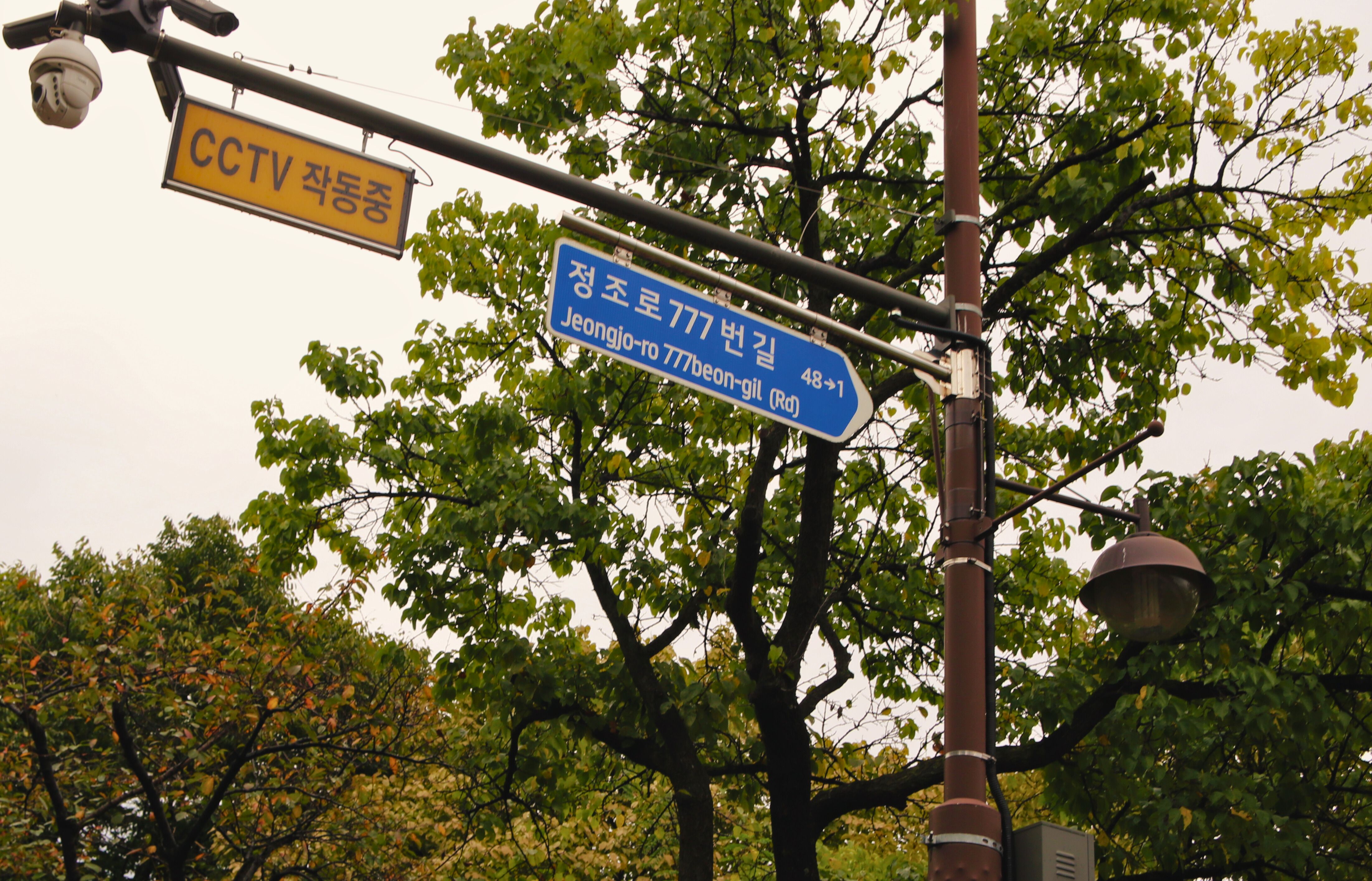 Jeongjo-ro Street Sign in Suwon, South Korea · Free Stock Photo