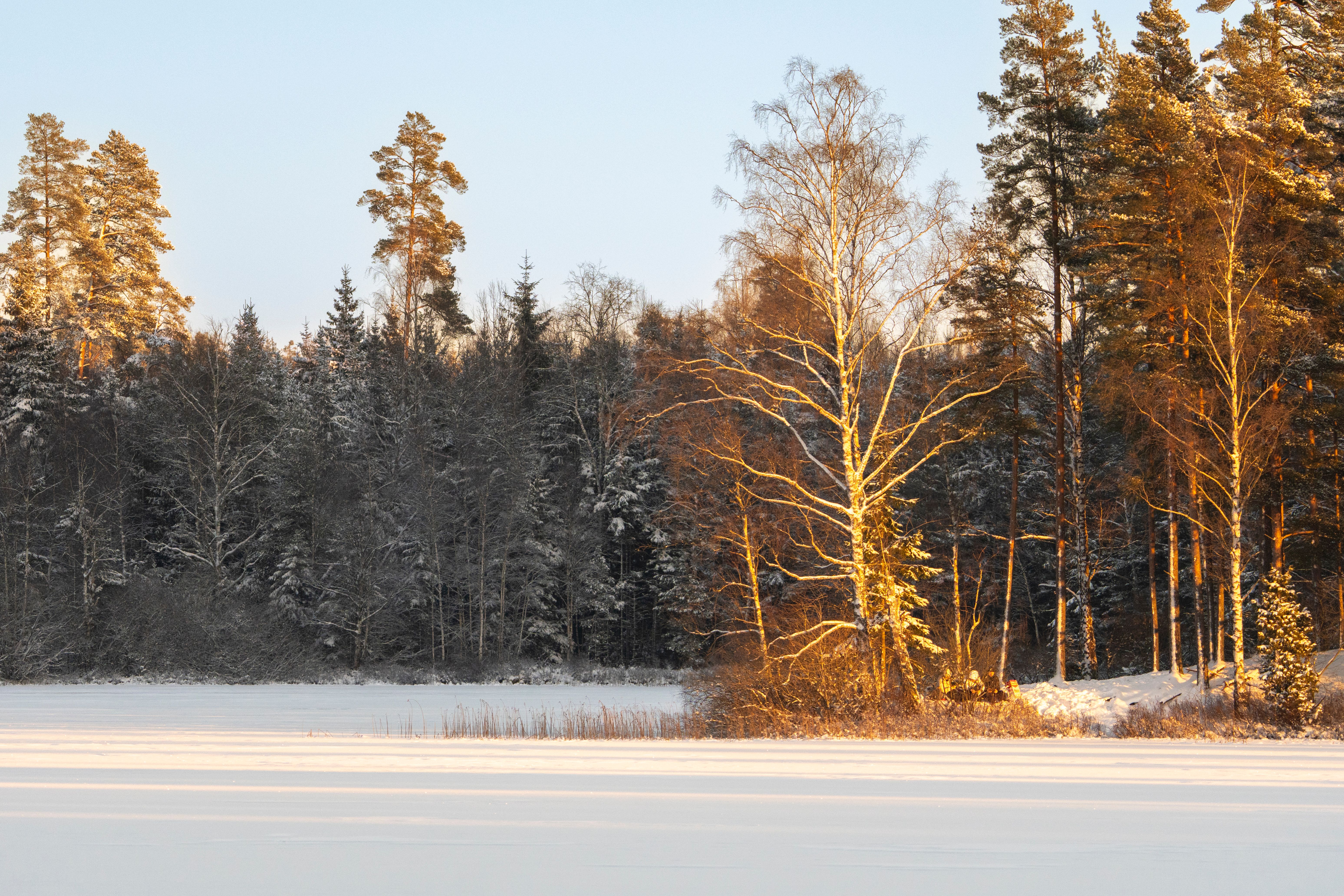 Photo Piture Photos, Download The BEST Free Photo Piture Stock Photos ...