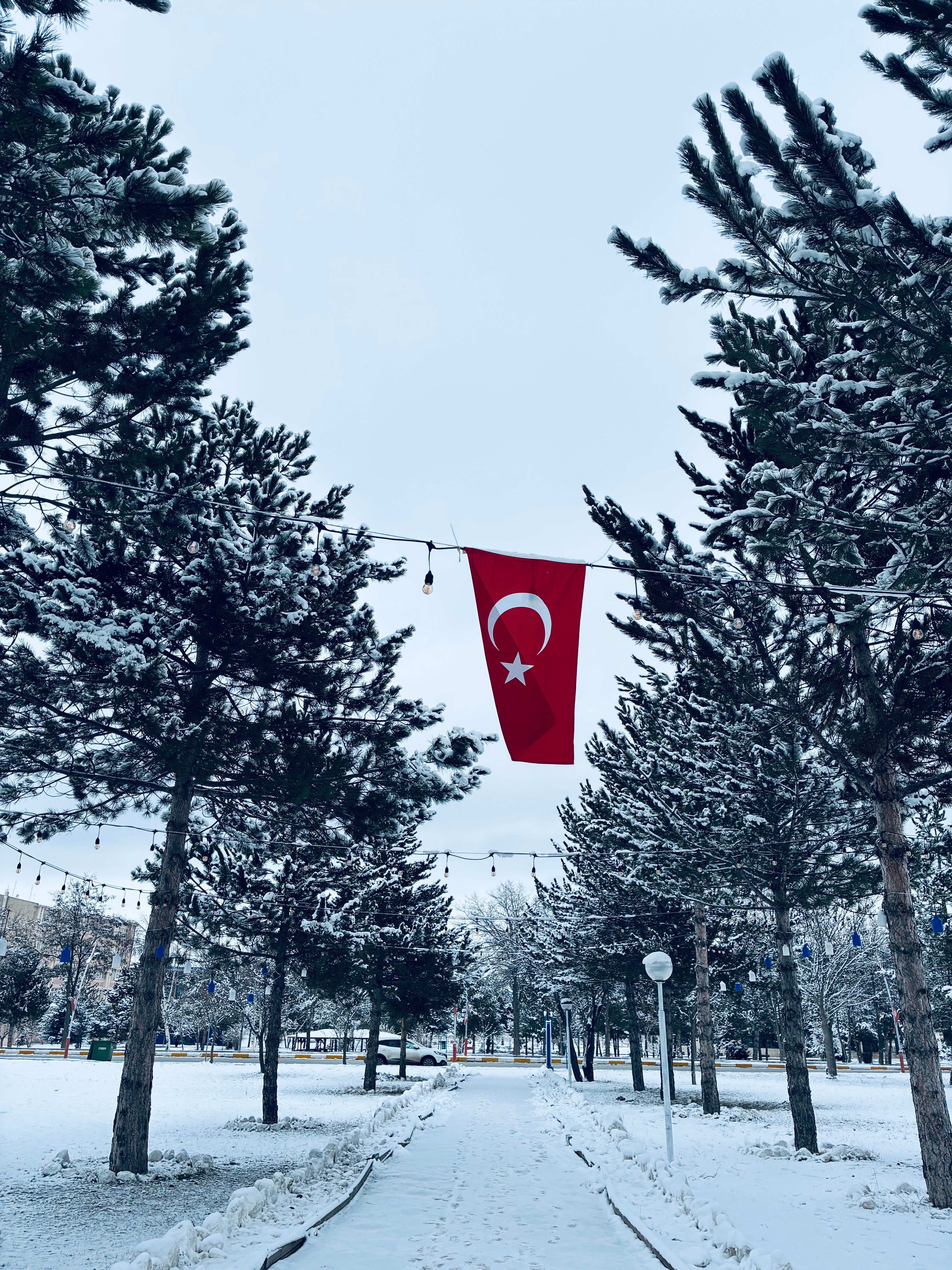 Snowy Winter Scene with Turkish Flag · Free Stock Photo