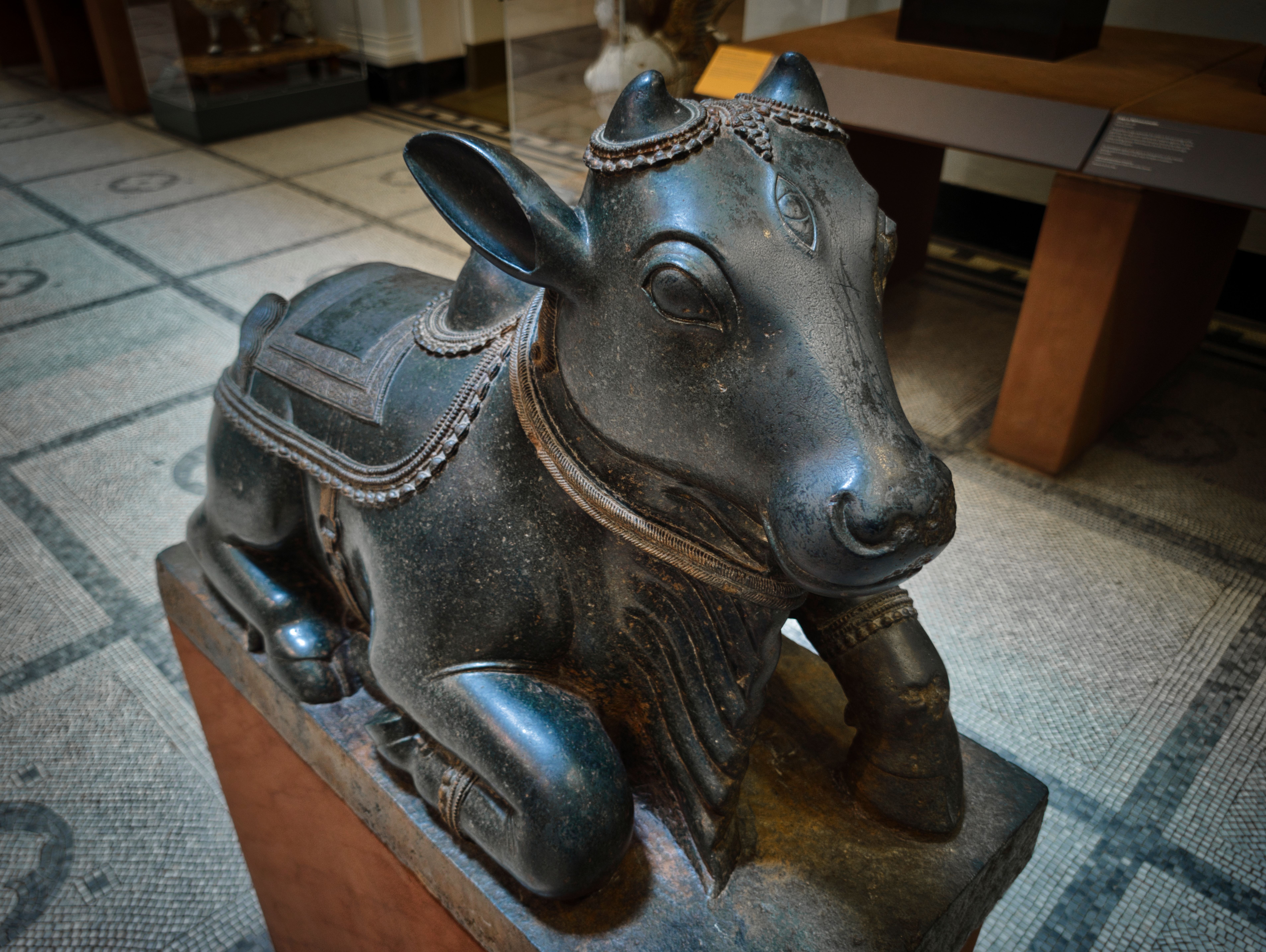 Hindu Brahman Photos, Download The BEST Free Hindu Brahman Stock Photos ...