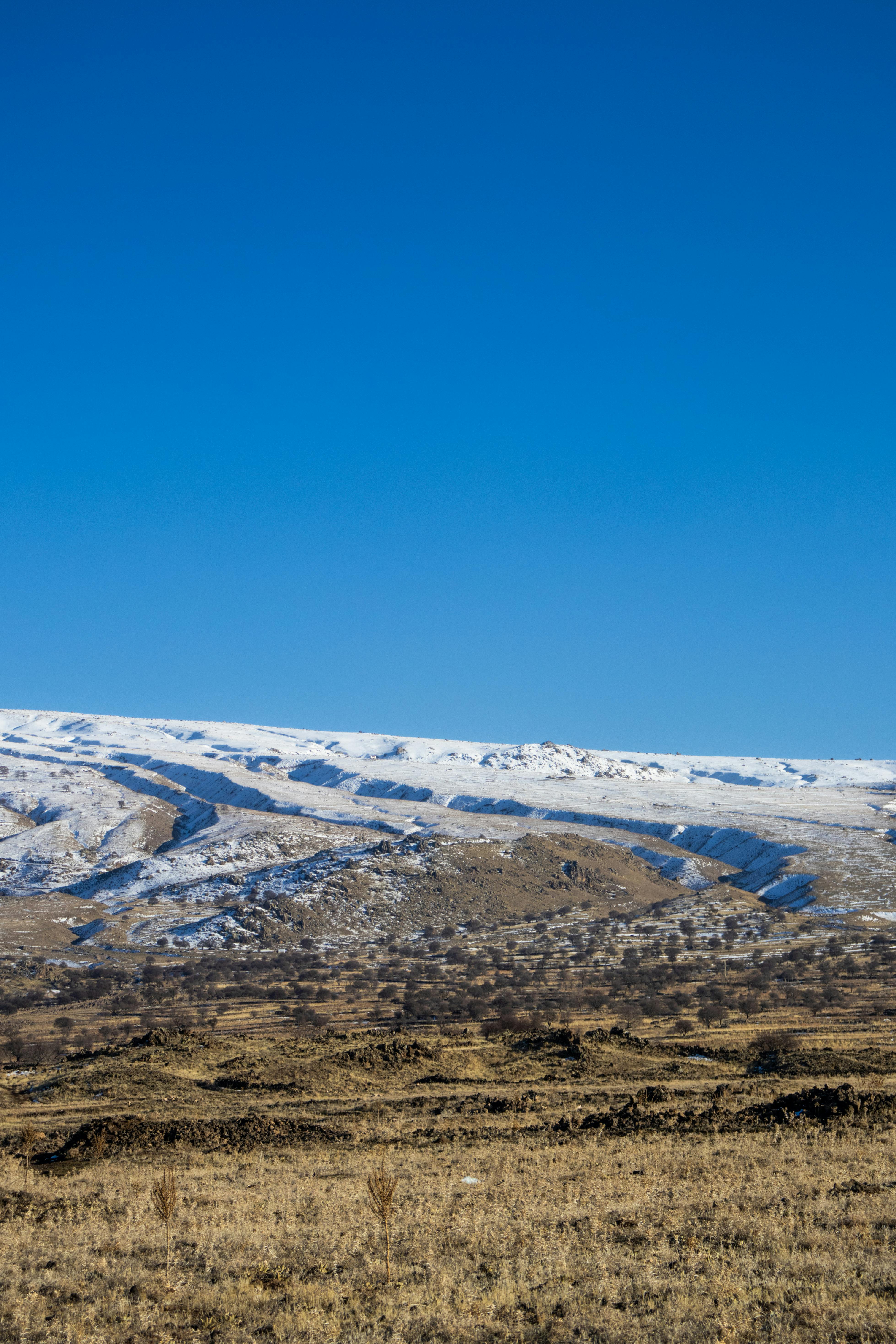 Open+Stock+Financials Photos, Download The BEST Free Open+Stock ...