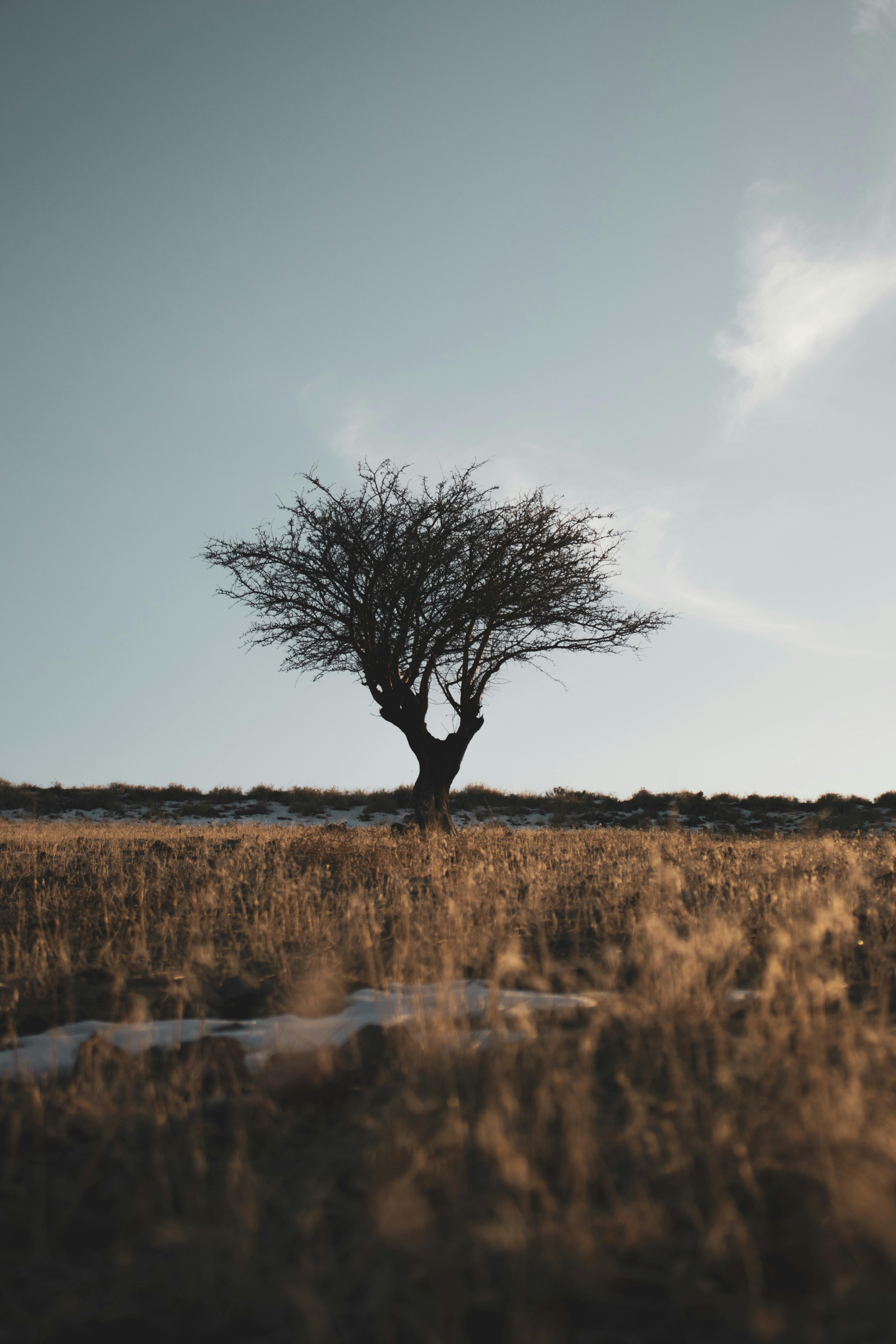 Open+Stock+Financials Photos, Download The BEST Free Open+Stock ...