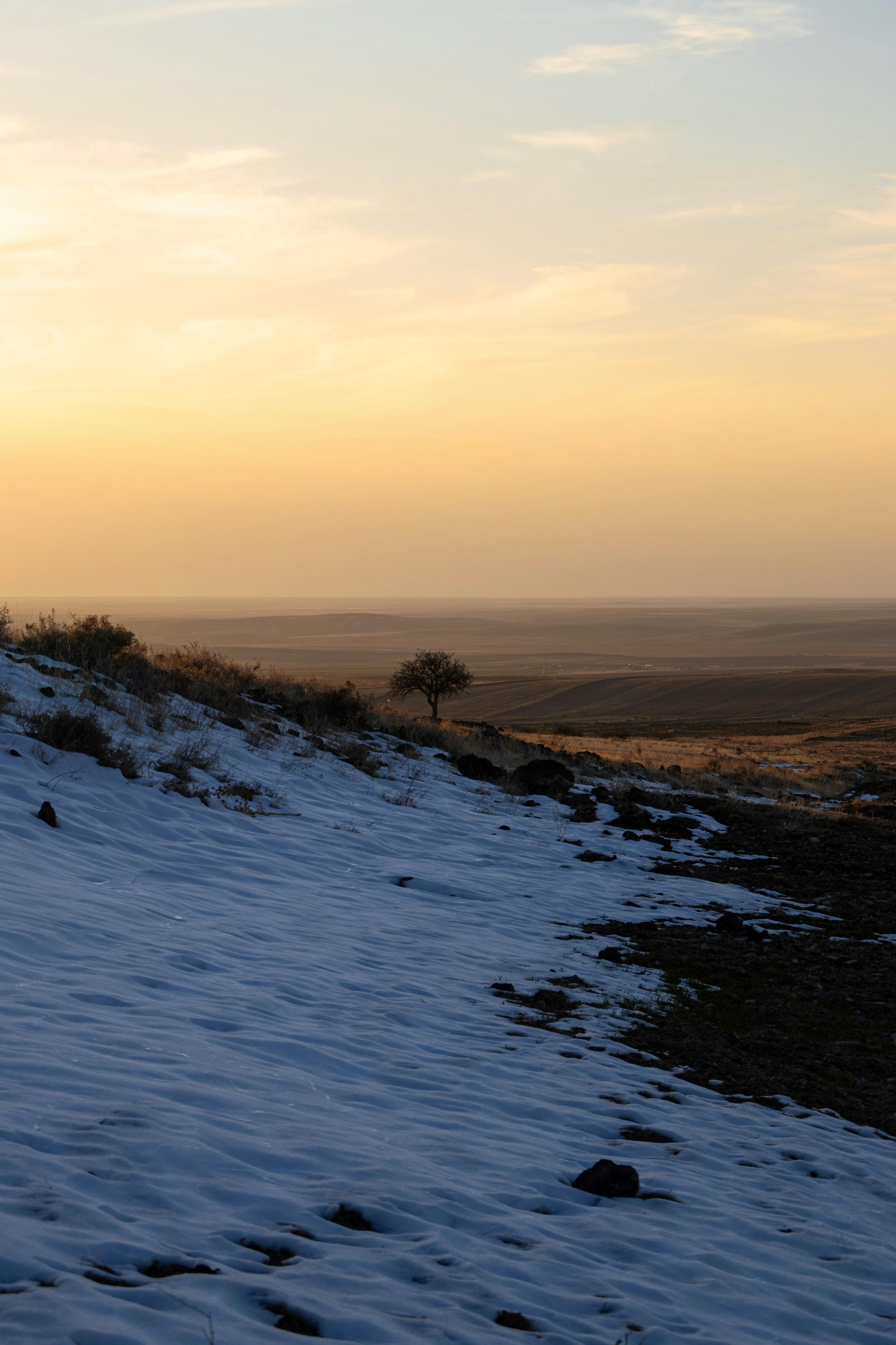 200.115+ Fotos y Imágenes de Open+hone+signage Gratis · Banco de Fotos ...