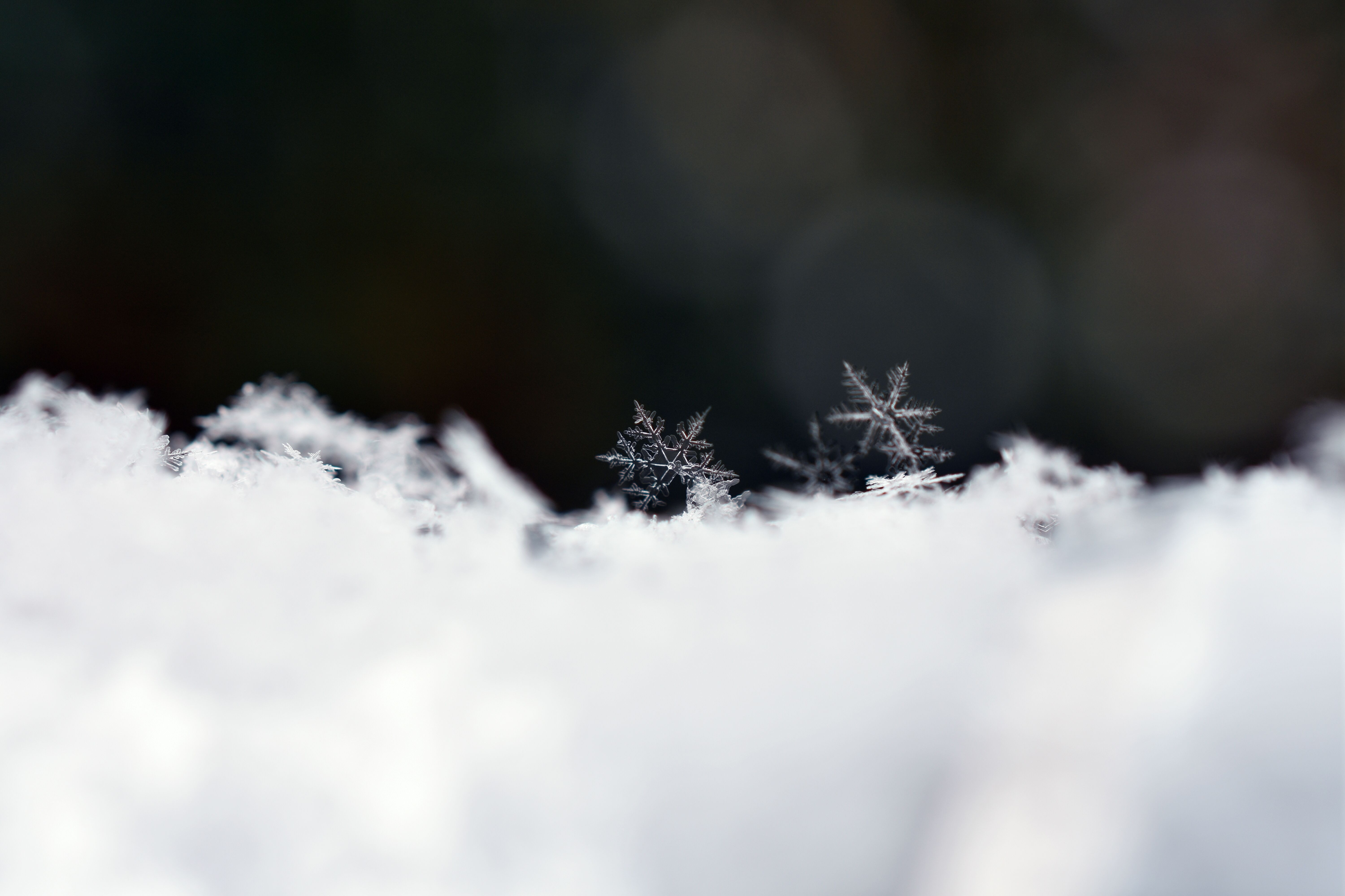 Snowflake Overlay Photos, Download The BEST Free Snowflake Overlay ...
